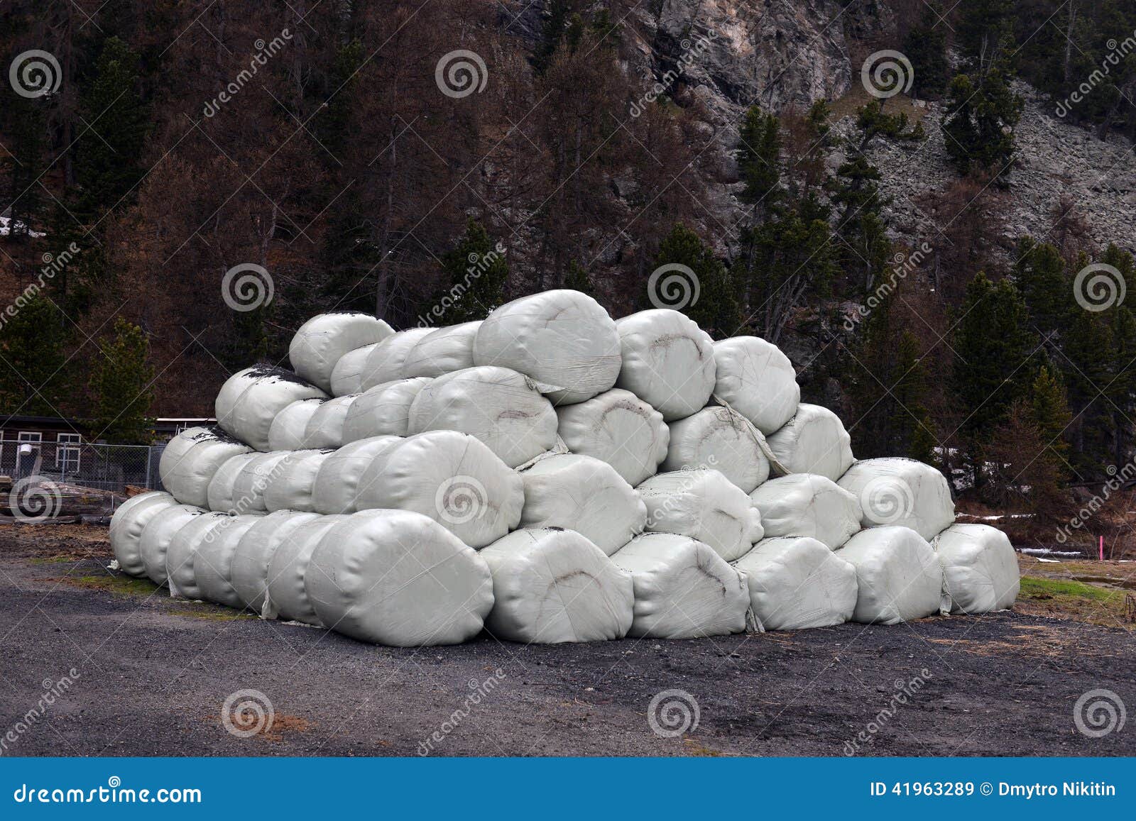 Hay in a plastic bag stock image. Image of season, bales - 41963289