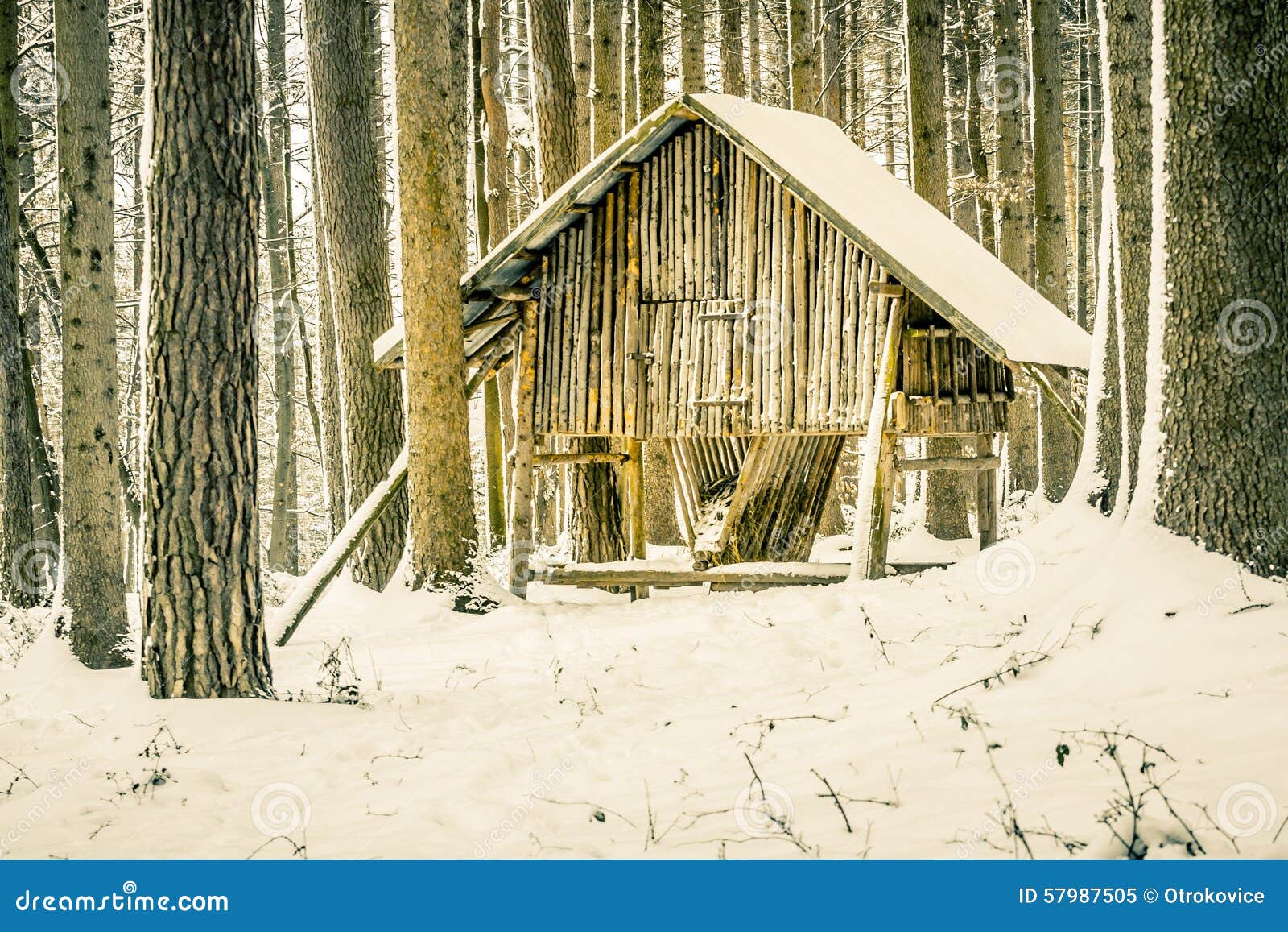 Hay rack stock image. Image of frost, grass, animal, help - 57987505