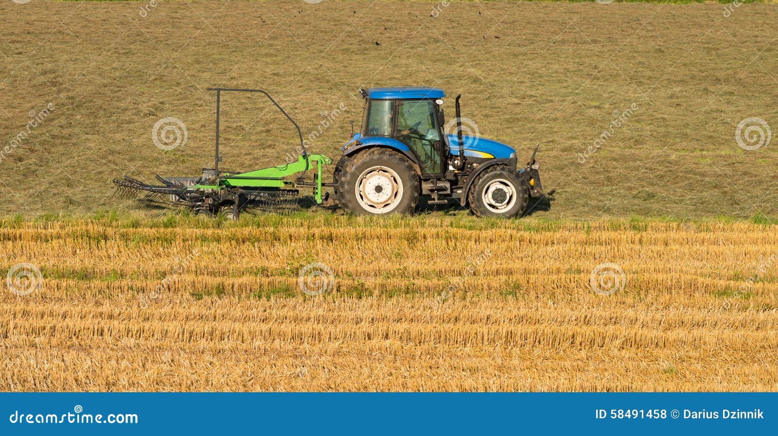 Hay rake stock photo. Image of handle, grass, implement - 58491458