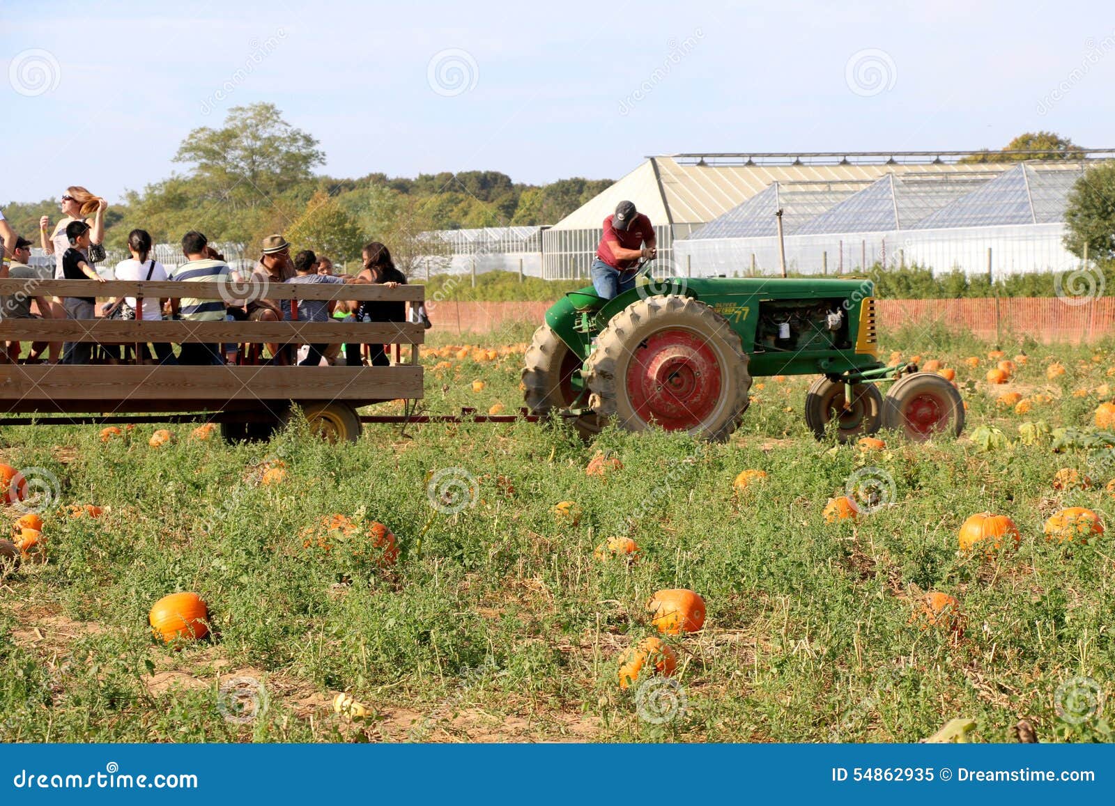 Hay Ride in Long Island, NY Editorial Image - Image of rural, family ...