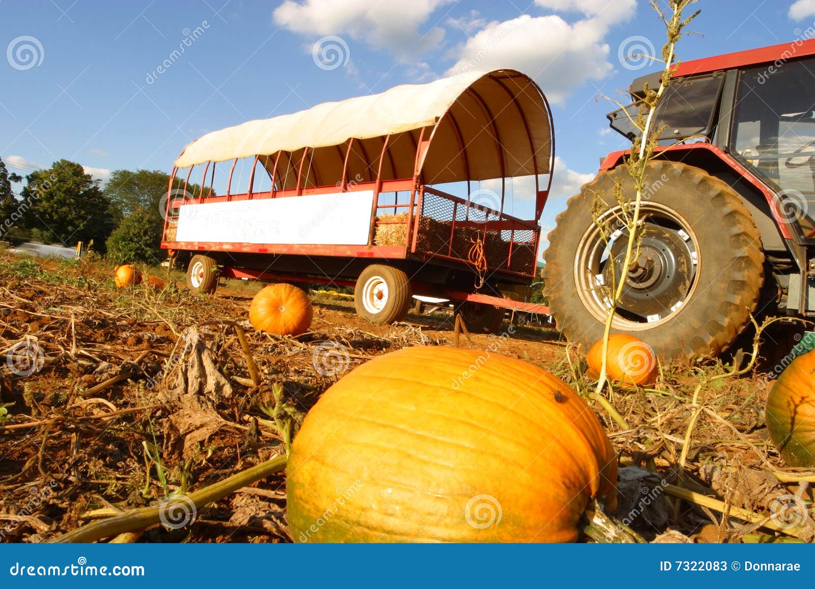 Hay Ride on a Pumpkin Farm. Stock Image - Image of farm, seasonal: 7322083