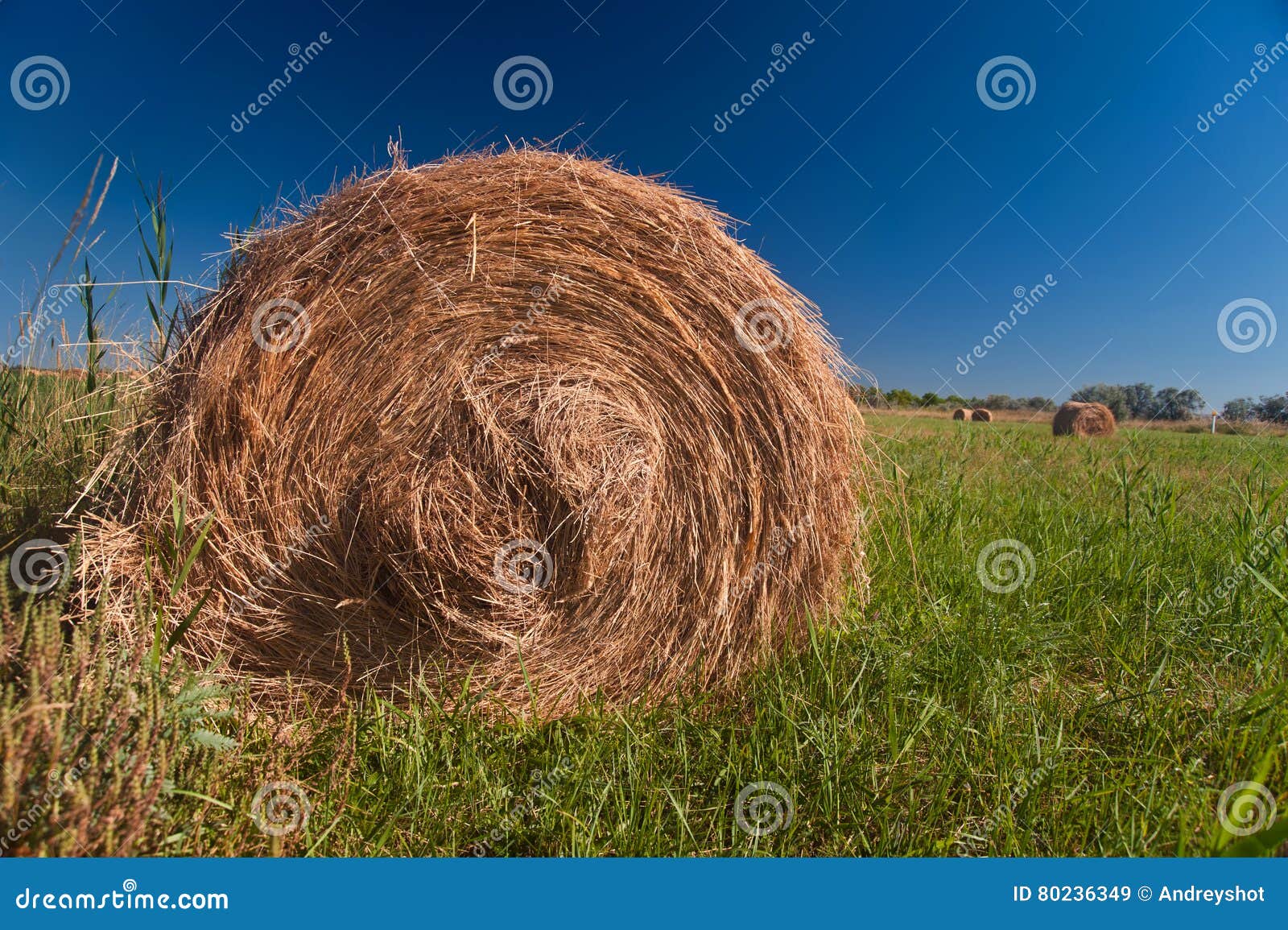 Hay Roll stock afbeelding. Image of stapel, gebied, korenveld - 80236349