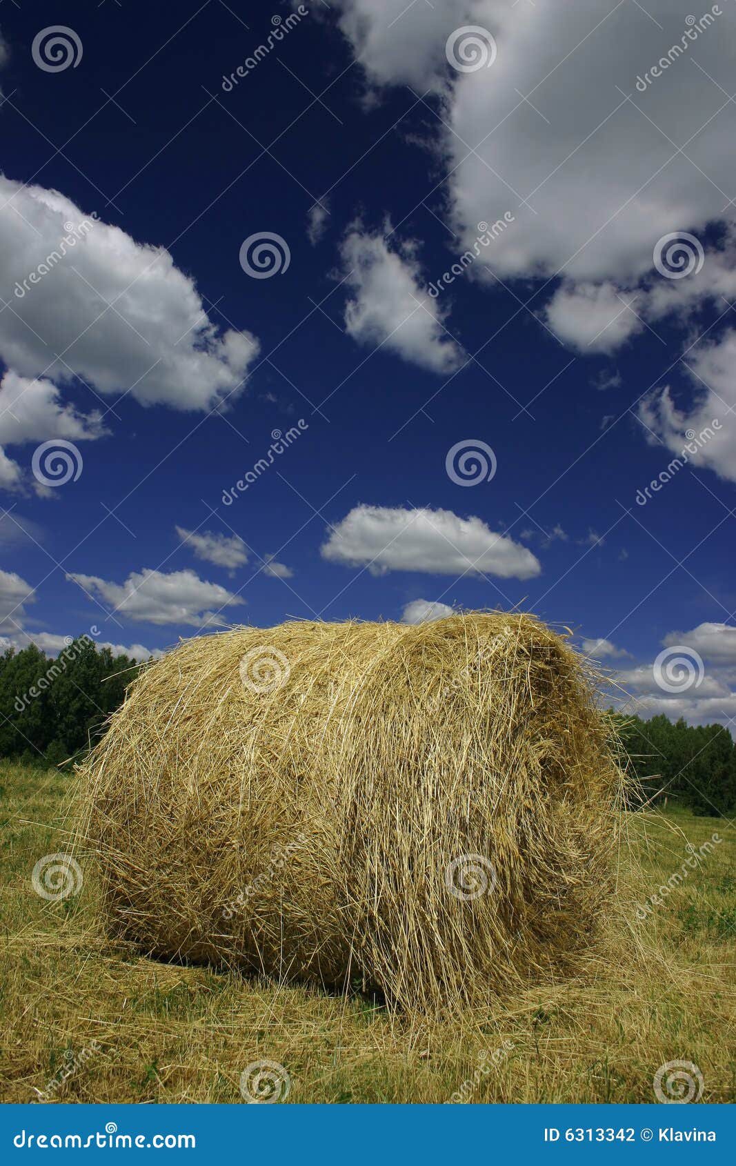 Hay roll (bale) stock photo. Image of cultivated, golden - 6313342