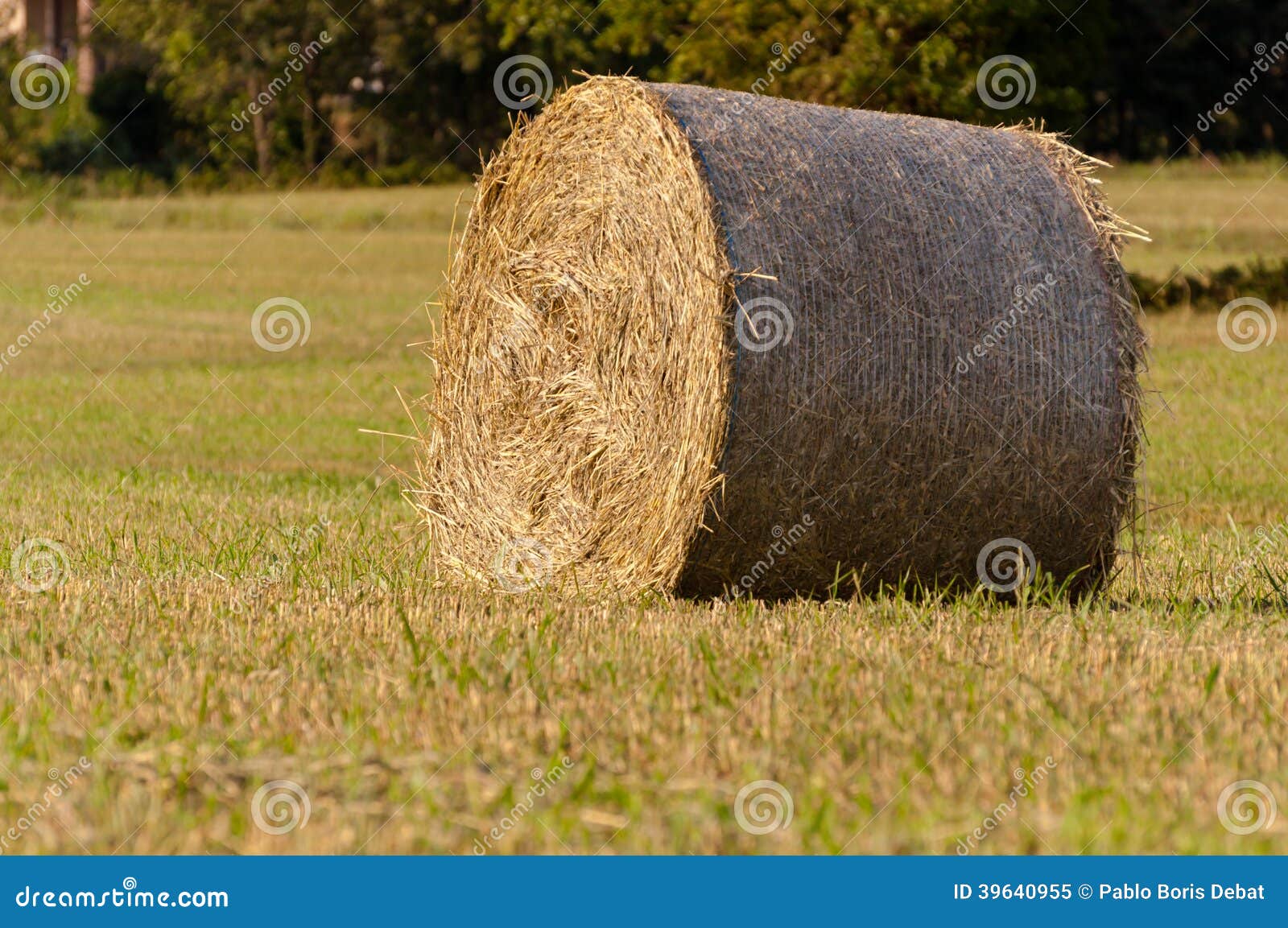 Hay roll close up stock image. Image of farming, grass - 39640955