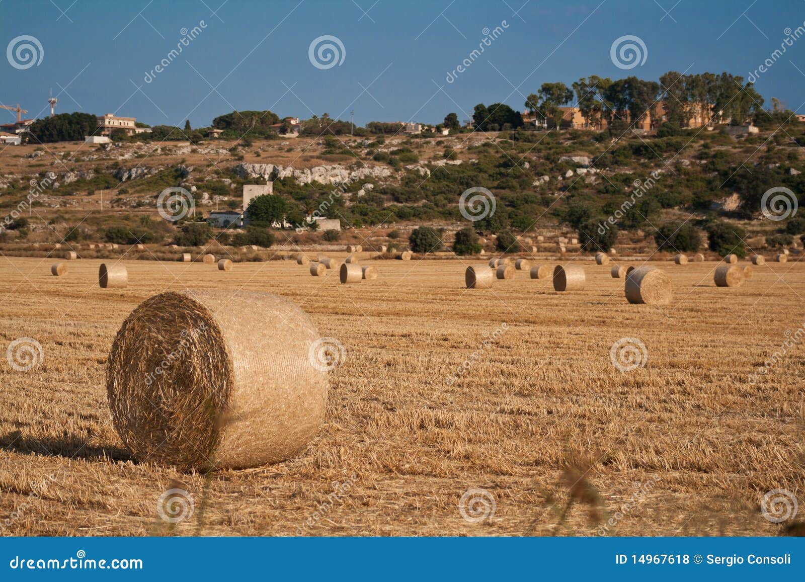 Hay roll in the country 9 stock photo. Image of lawn - 14967618