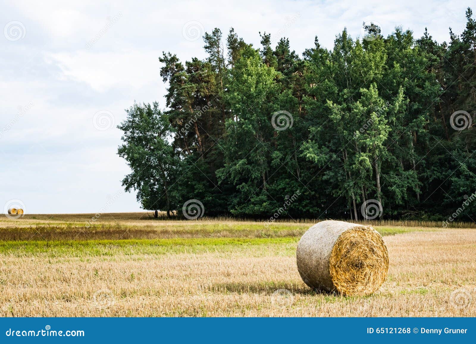 Hay roll in a field stock photo. Image of agricultural - 65121268