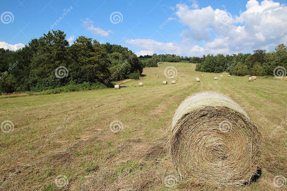 Hay Roll in a Field during the Daytime Stock Photo - Image of roll ...