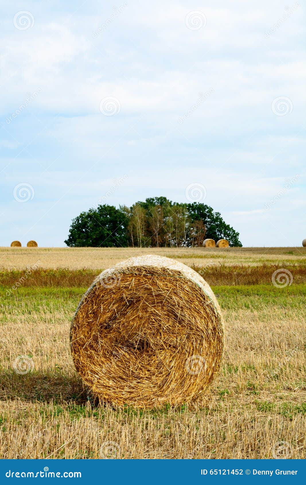 Hay Roll Field Ii Stock Photos - Free & Royalty-Free Stock Photos from ...