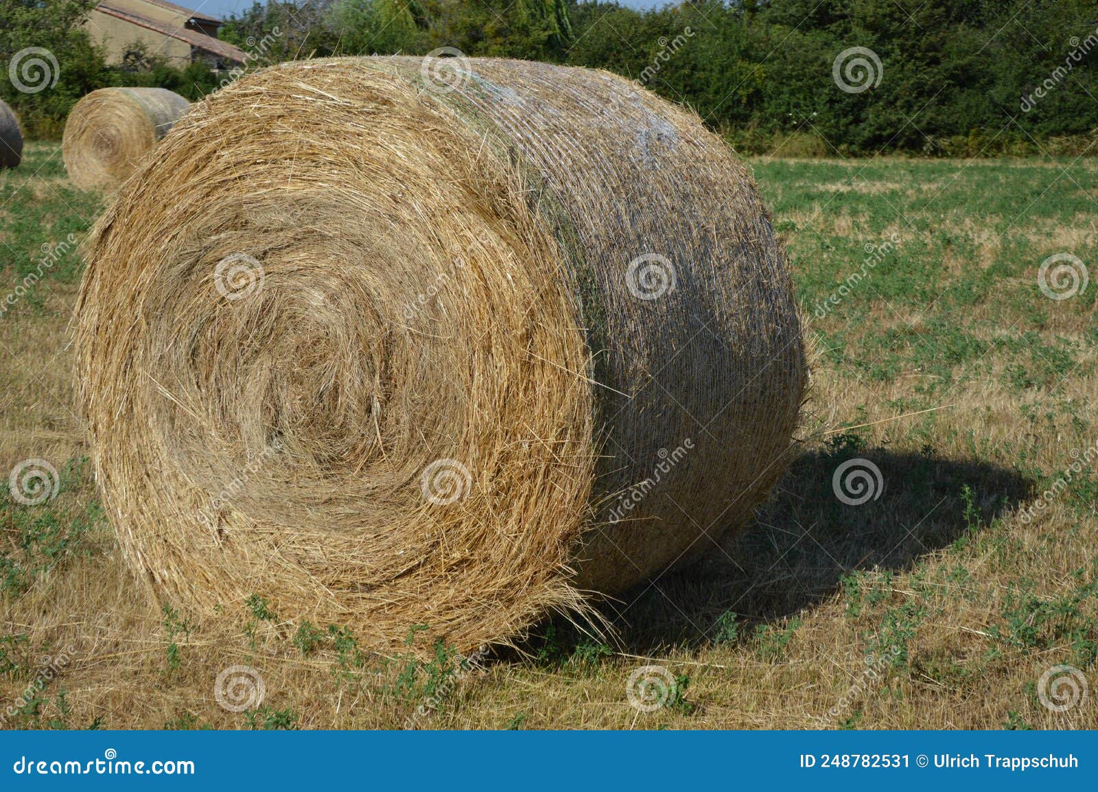 Zoom on a Hay Roll in the Field Stock Image - Image of meadow, nature ...