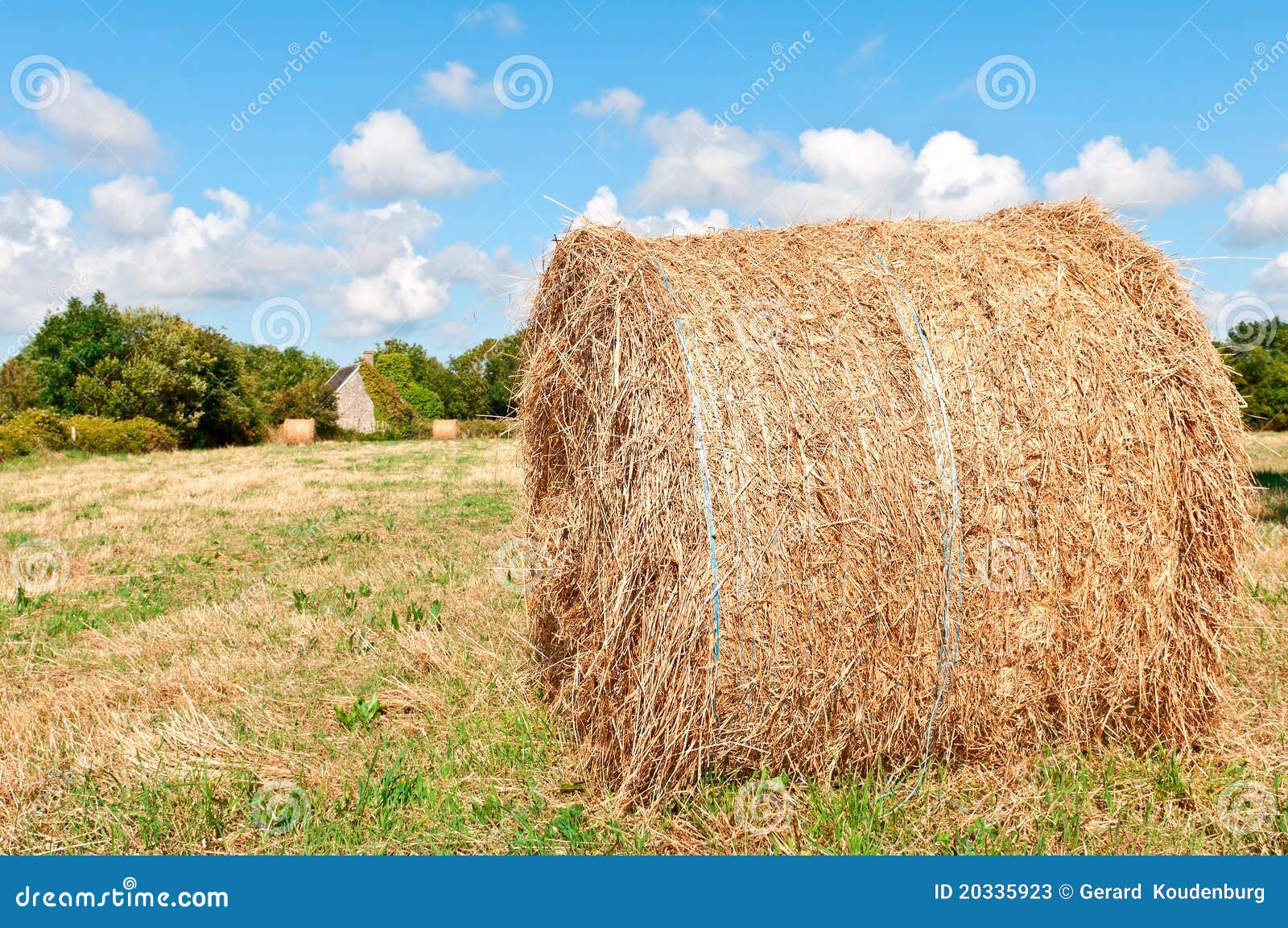 Hay Roll on Meadow with Blue Sky Stock Image - Image of natural, europe ...