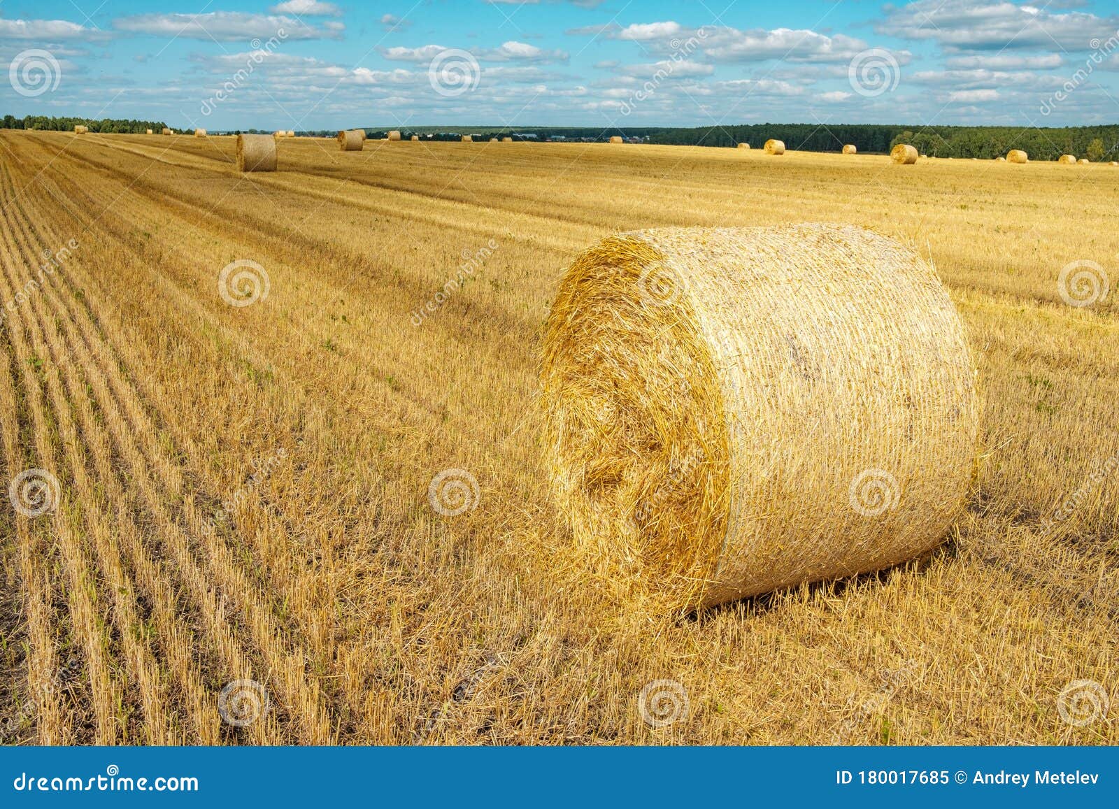 One Hay Roll In A Mowed Field. Behind The Highway Guardrail. Trees ...