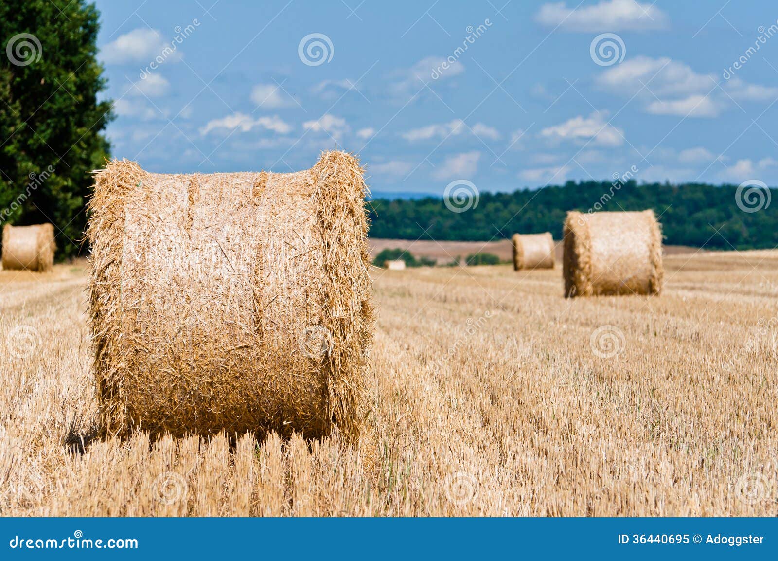 Hay roll stock image. Image of republic, nature, farm - 36440695