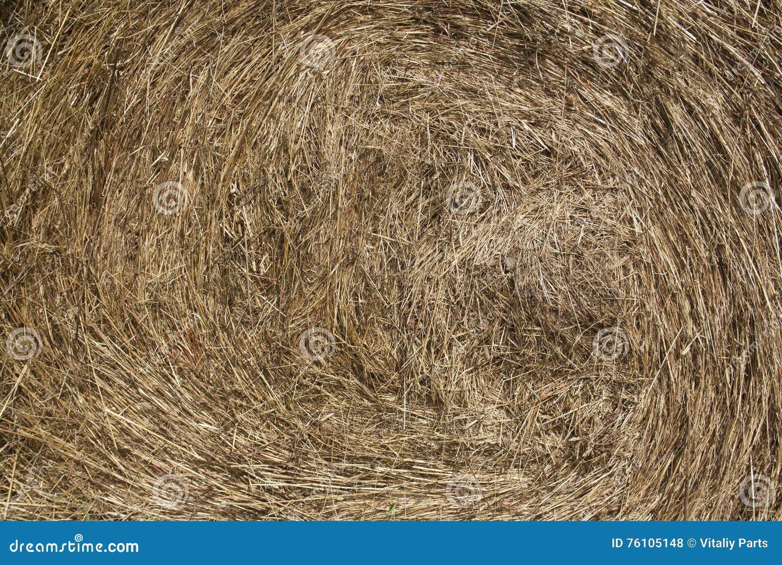Hay Roll Texture Stock Photo | CartoonDealer.com #76105148