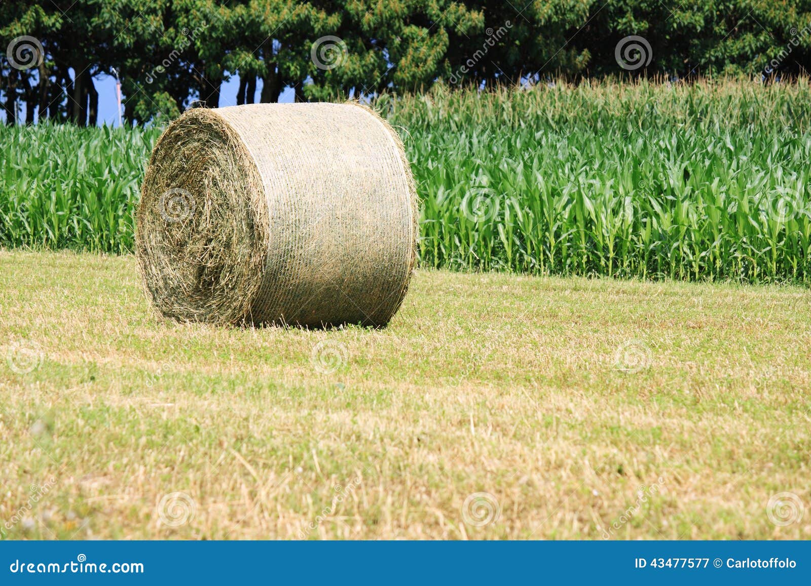 Hay roller stock image. Image of natural, agriculture - 43477577
