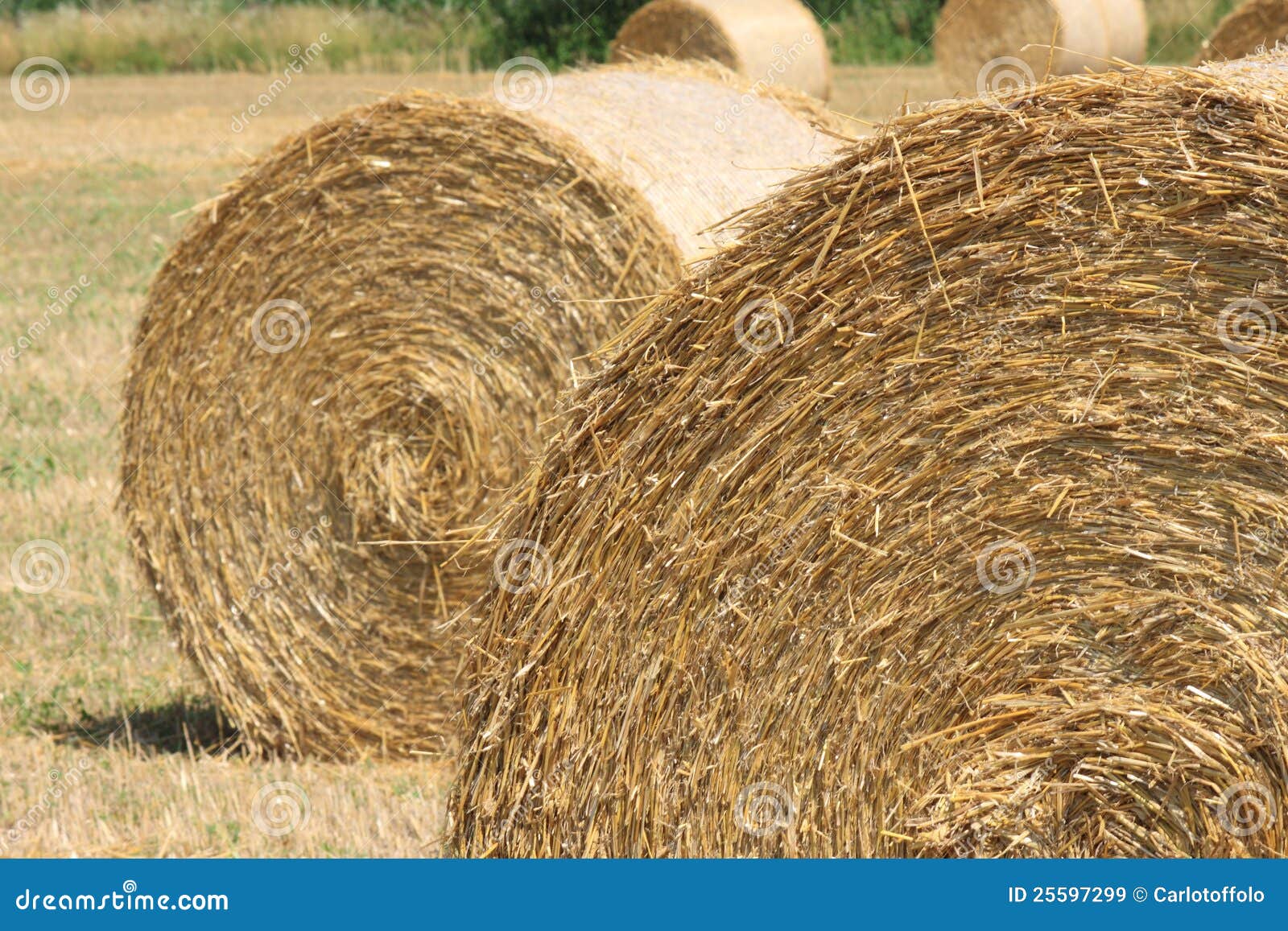 Hay Rollers on the Field in Summertime Stock Image - Image of grass ...
