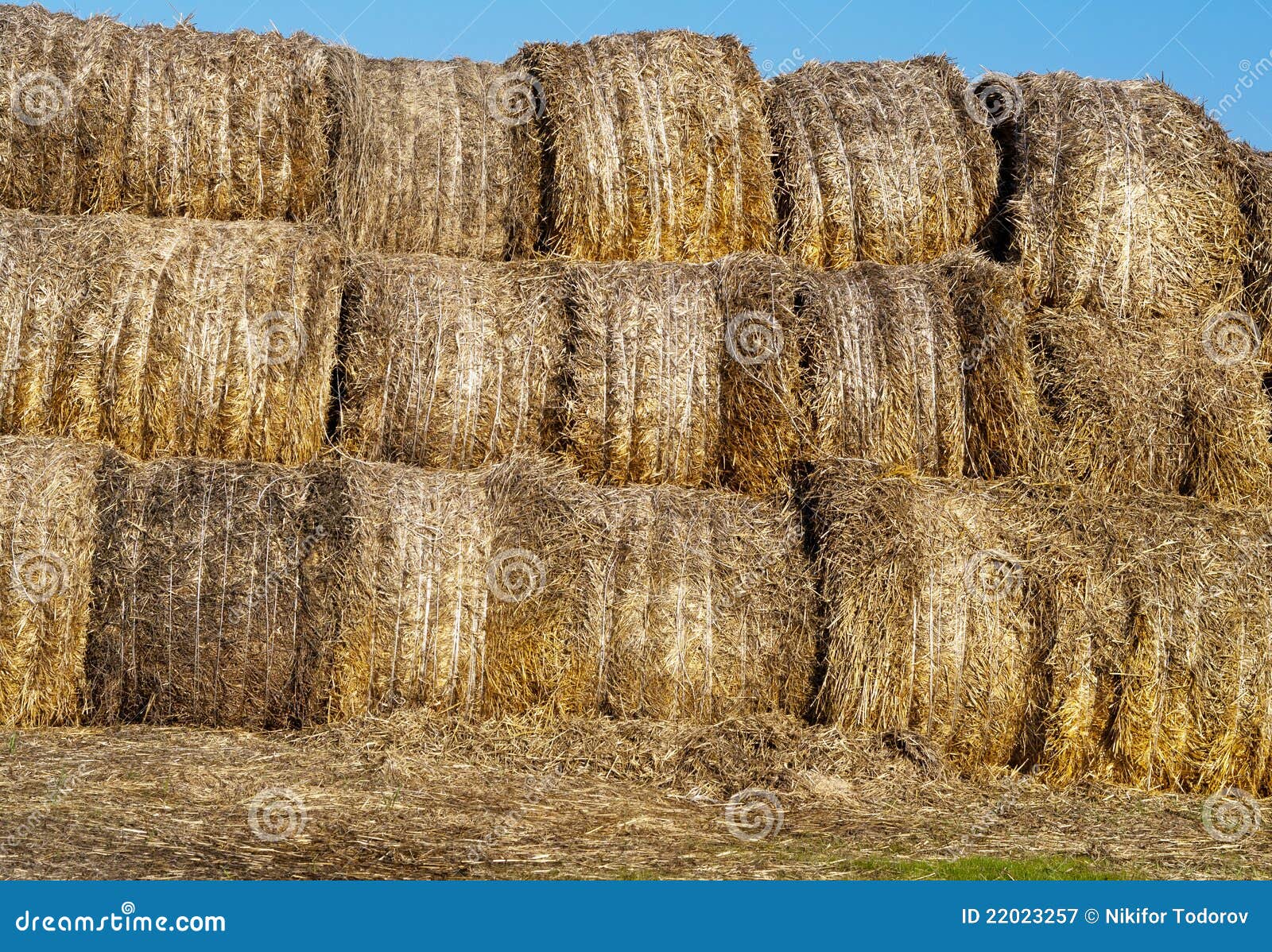 Hay rolls stock image. Image of farming, agriculture - 22023257