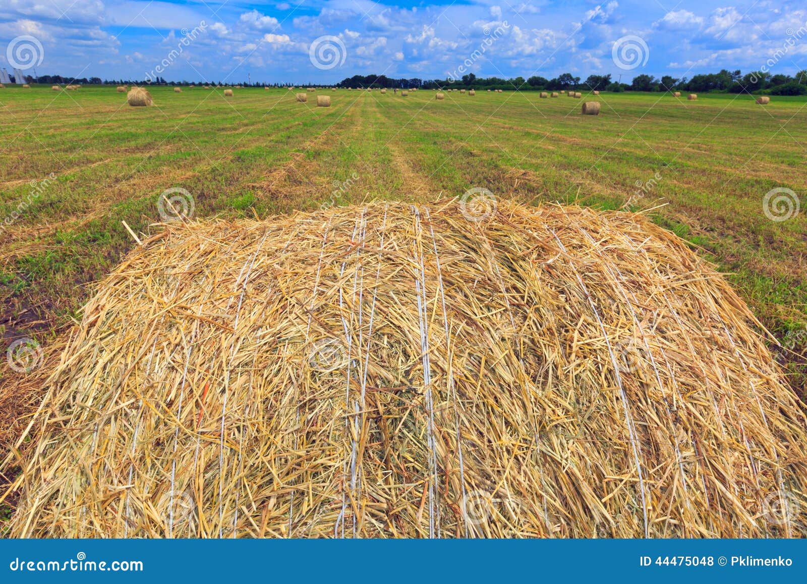 Hay rolls stock photo. Image of feed, summer, autumn - 44475048