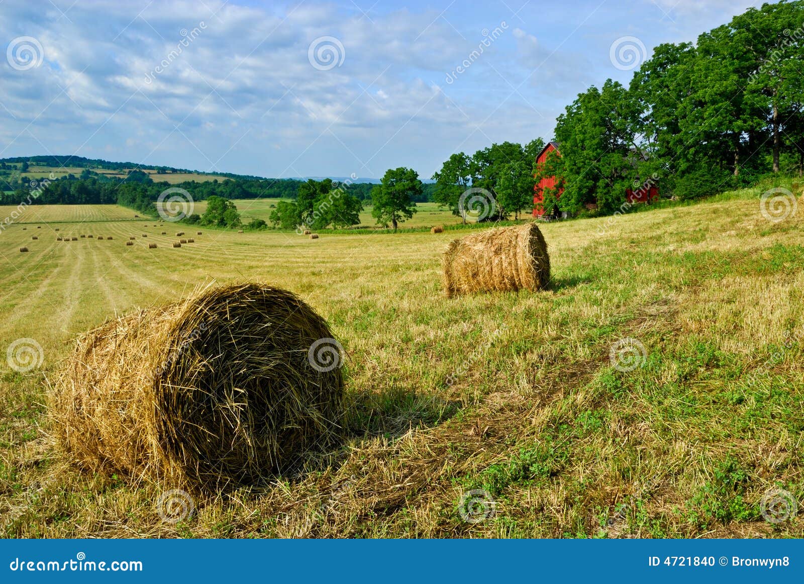 Hay rolls in field stock photo. Image of sunshine, green - 4721840