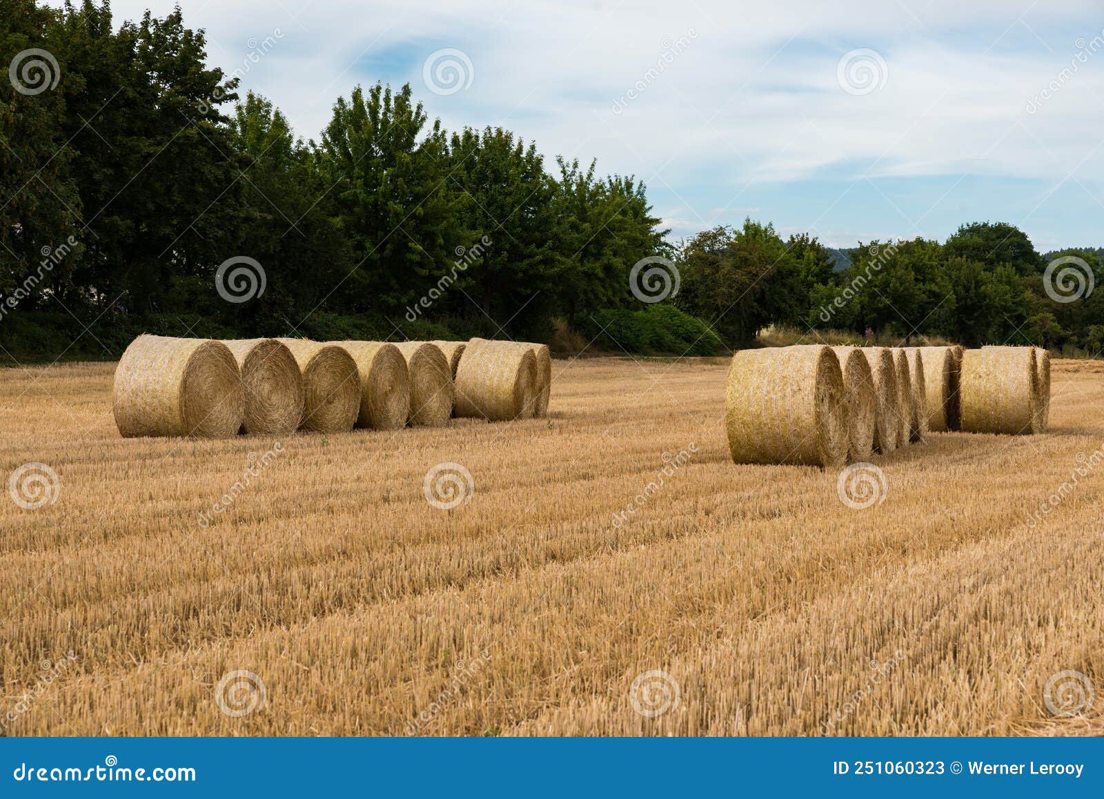 Hay Rolls and a Mowed Agriculture Grain Field Stock Image - Image of ...