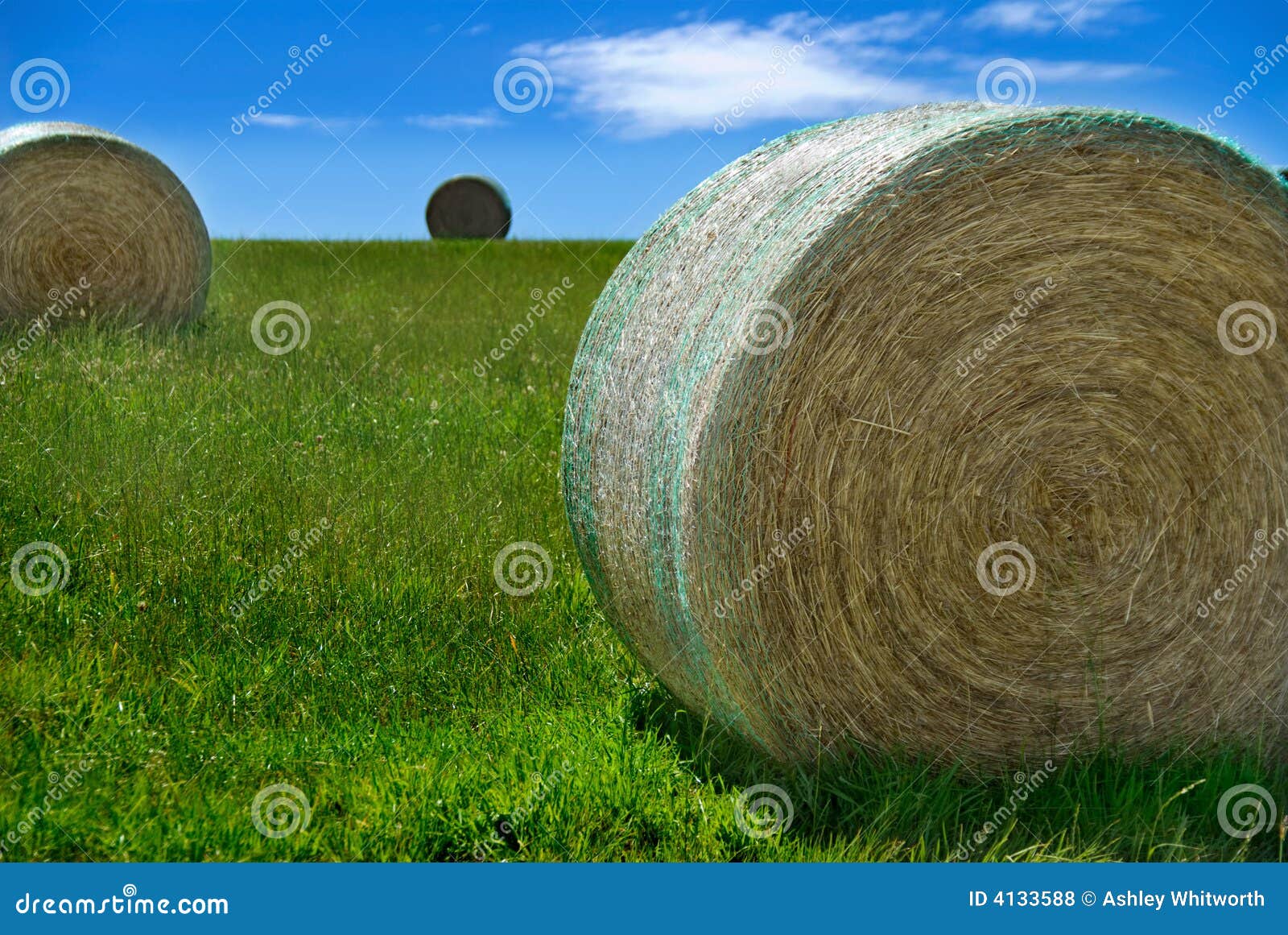 Hay Rolls in Paddock stock photo. Image of circle, grass - 4133588
