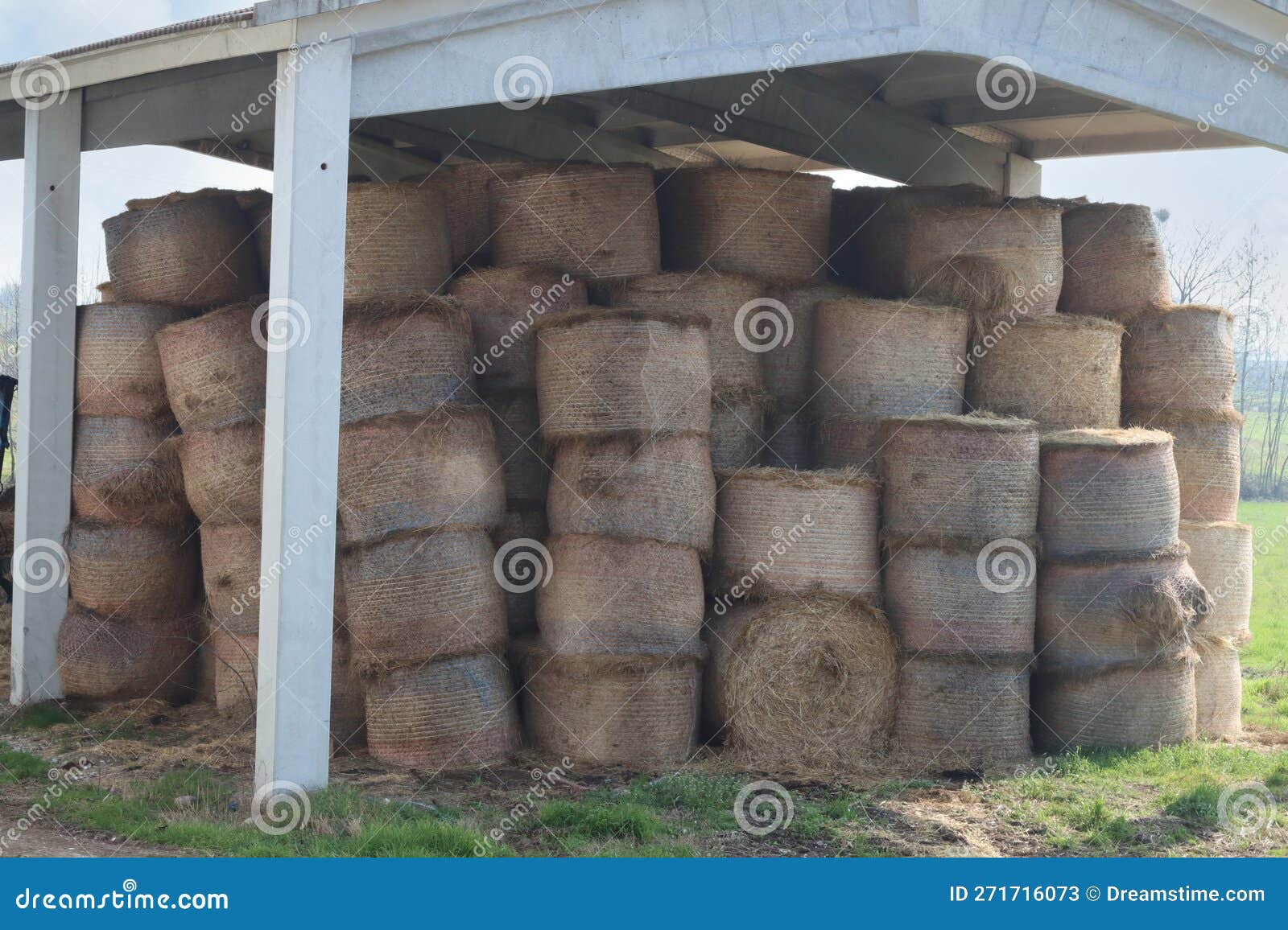 Hay Rolls Stacked and Covered- Stock Image - Image of scene, organic ...