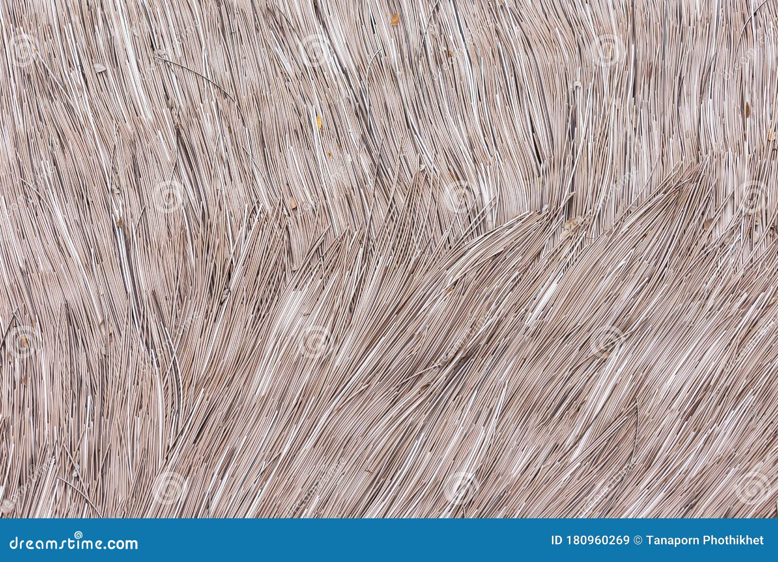 Hay roof texture stock image. Image of grass, rural - 180960269