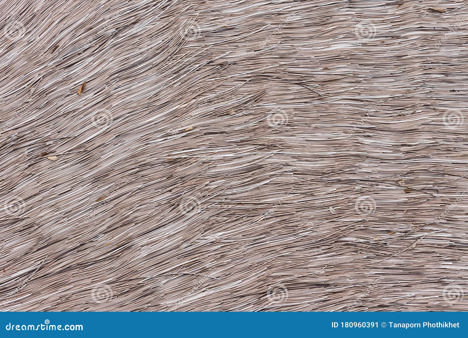 Hay roof texture stock image. Image of closeup, design - 180960391
