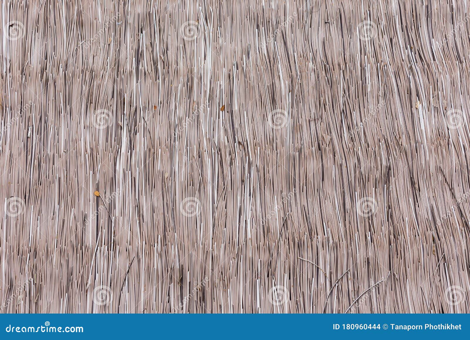 Hay roof texture stock photo. Image of tropical, roof - 180960444