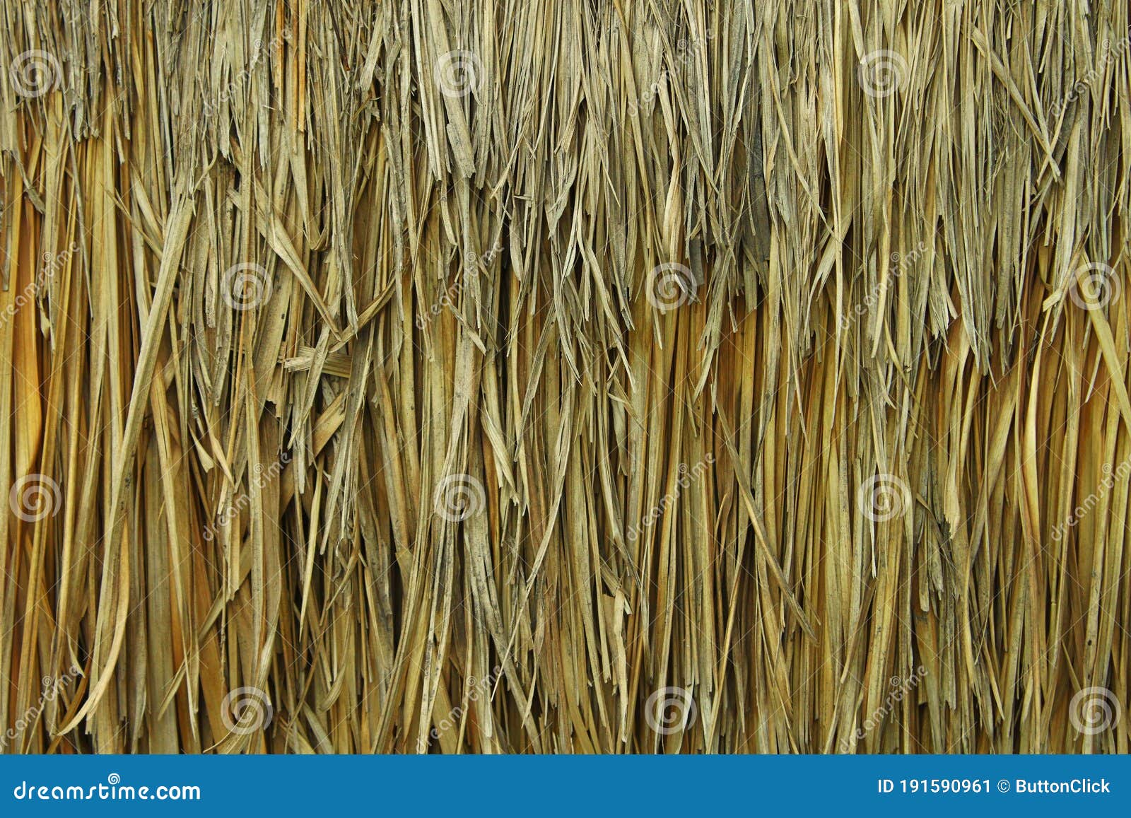 Hay Roof Wall Hut Coverage Texture Natural Material Background Stock ...