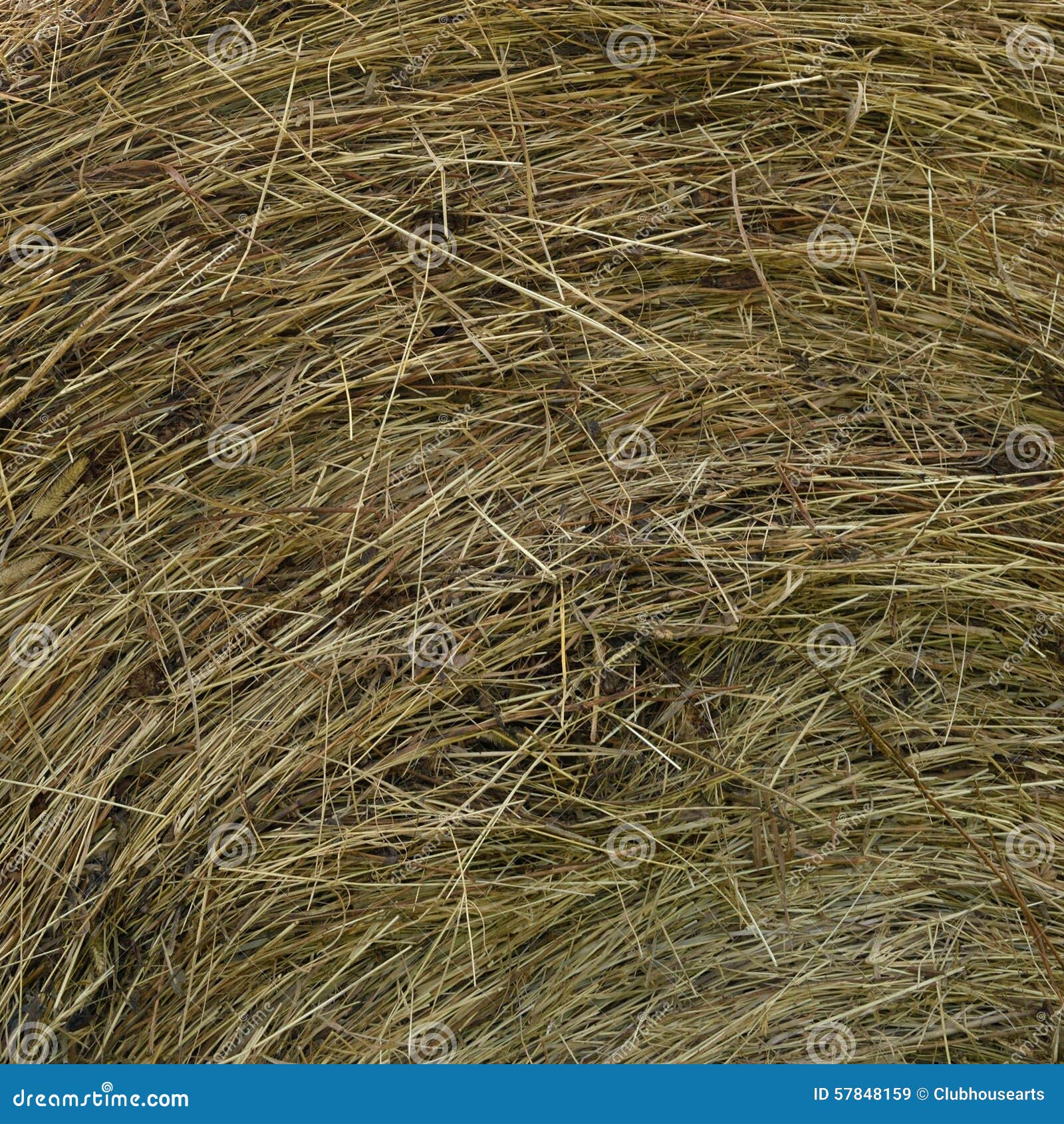 Hay Roundbale Texture stock image. Image of rural, pattern - 57848159