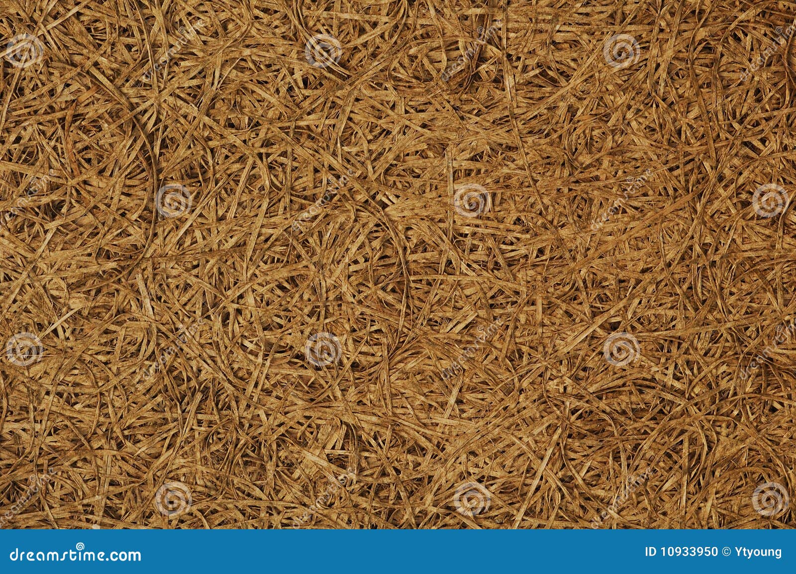 Hay seamless background stock photo. Image of light, detail - 10933950