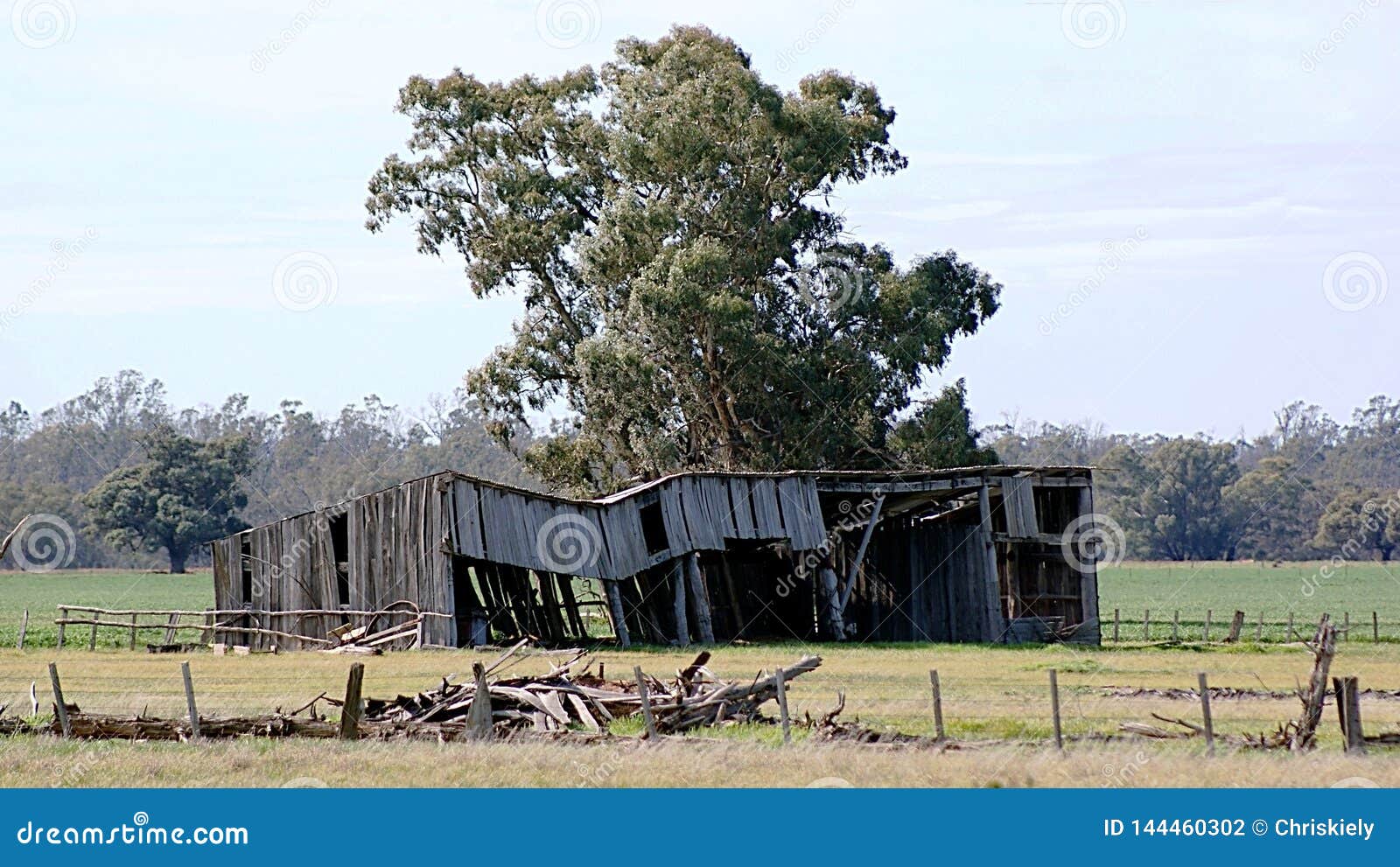 Hay Shed Falling Down after Hurricane Stock Photo - Image of sheds ...