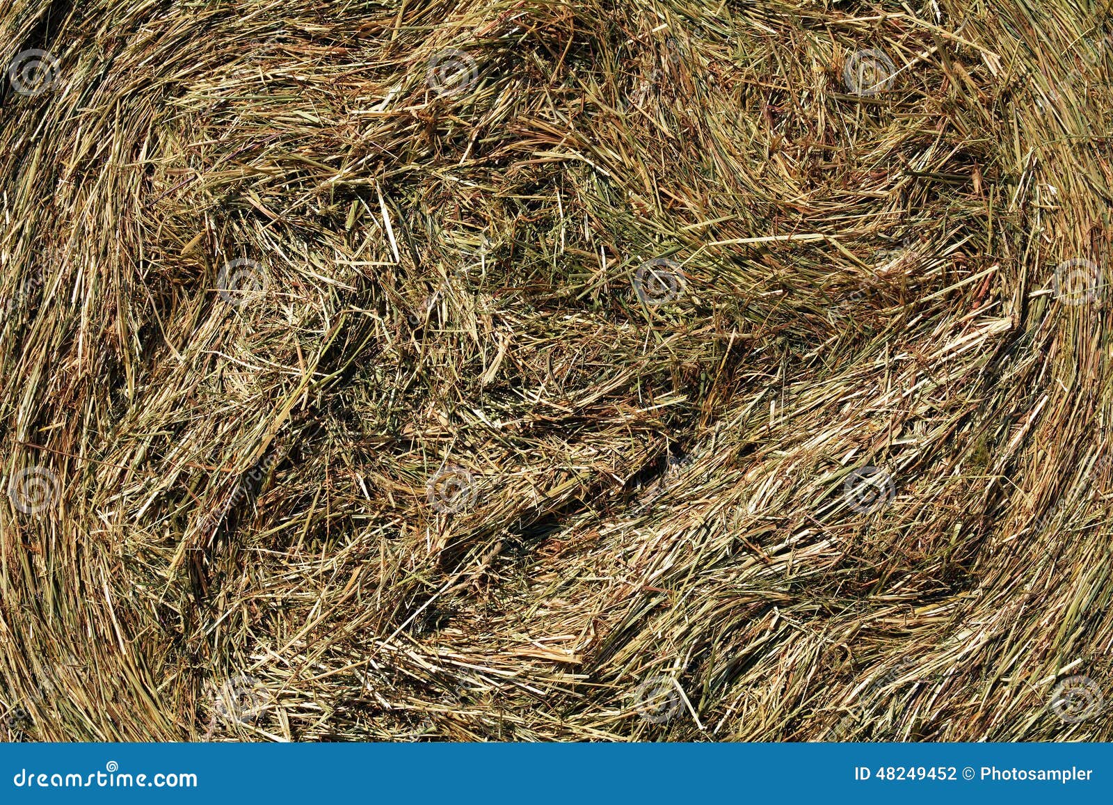 Hay side view stock photo. Image of grass, horizontal - 48249452