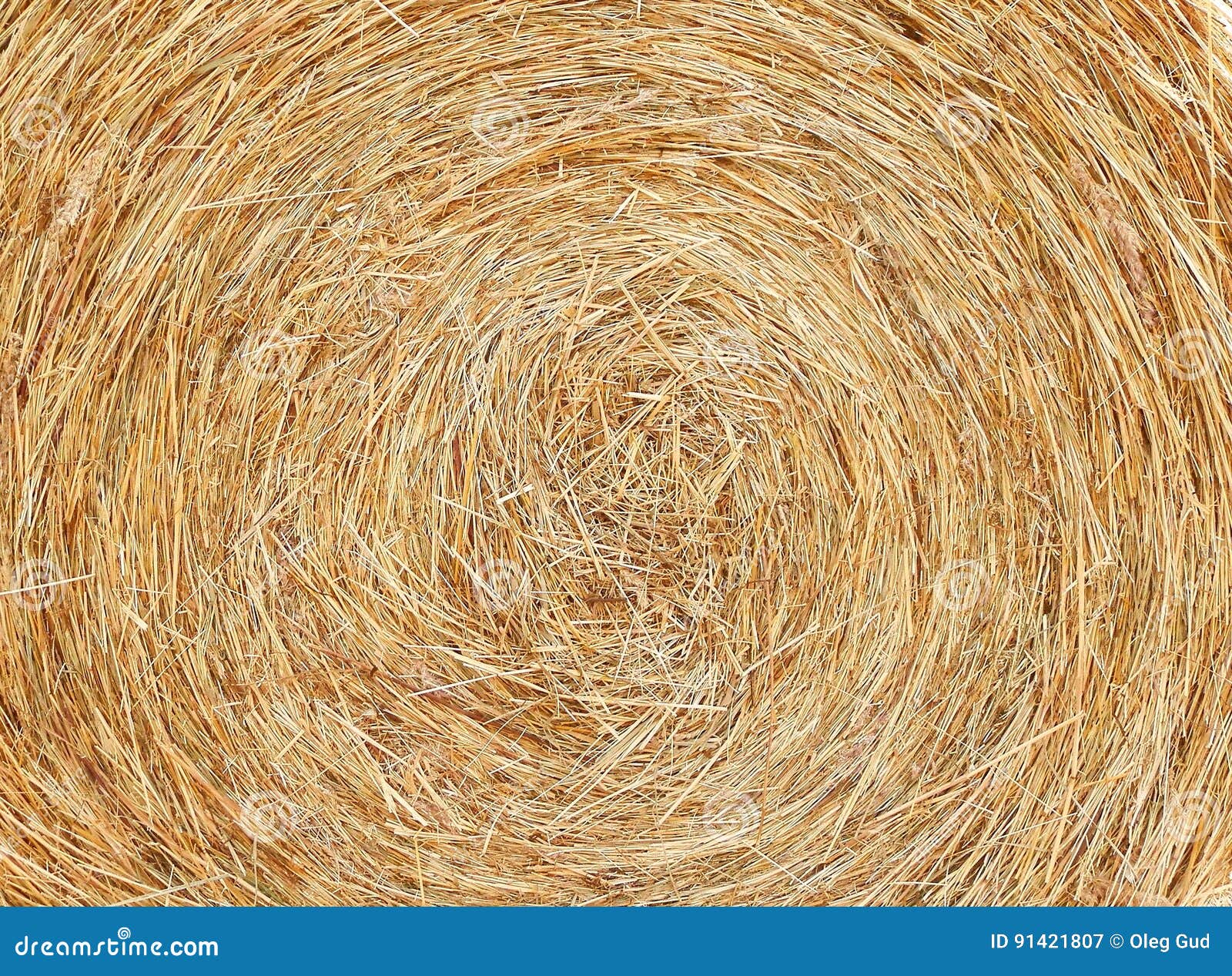 Hay - Spiral Texture Background Stock Image - Image of cattle ...