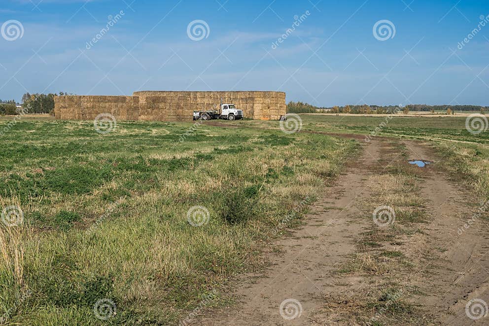 Hay square bails stacked stock photo. Image of blue, feed - 51636014