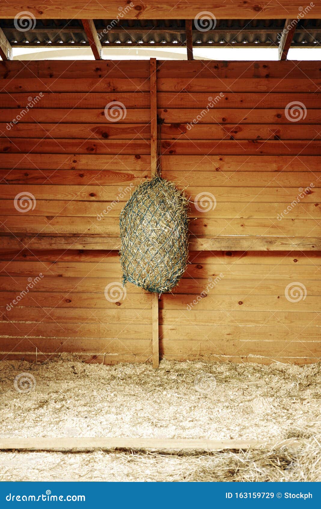 Hay in the Stable. Farm Cattle Breeding. Stock Image - Image of harvest ...