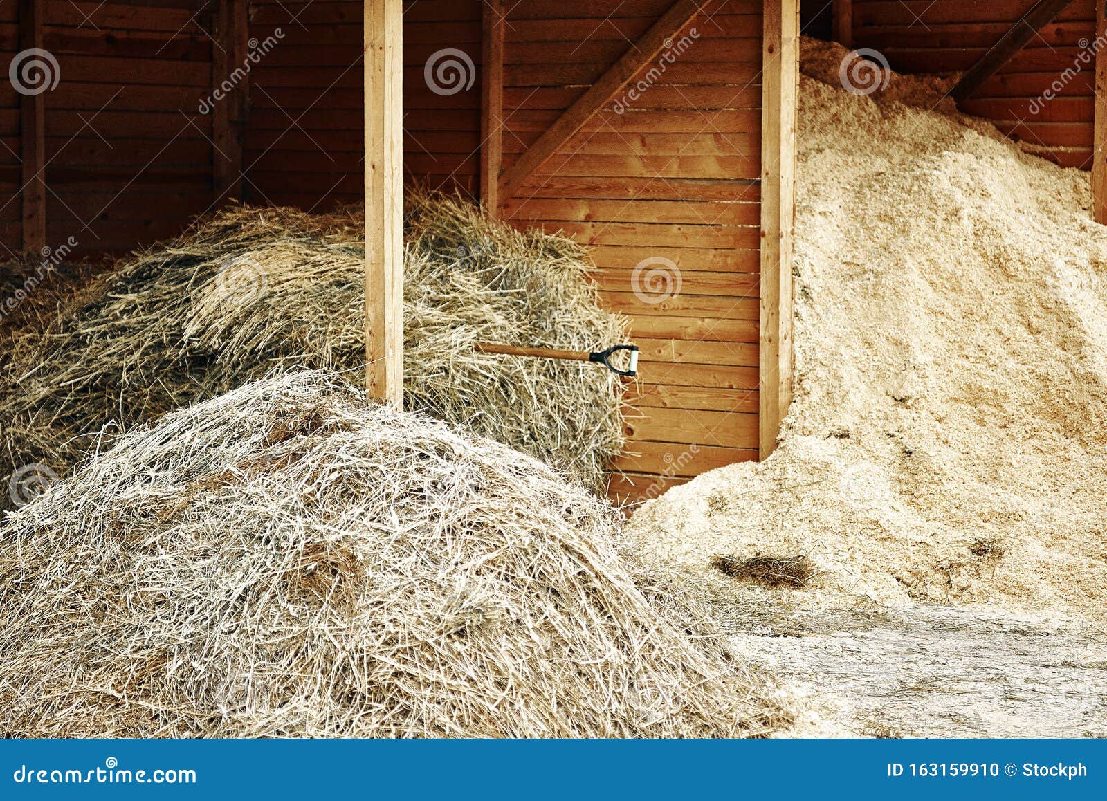 Hay in the Stable. Farm Cattle Breeding. Stock Photo - Image of inside ...