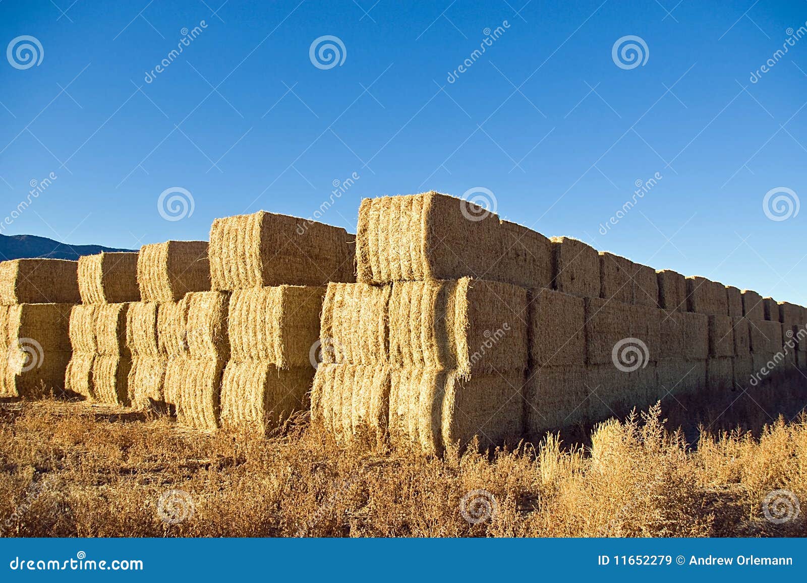 Hay Stack stock image. Image of agriculture, bale, autumn - 11652279