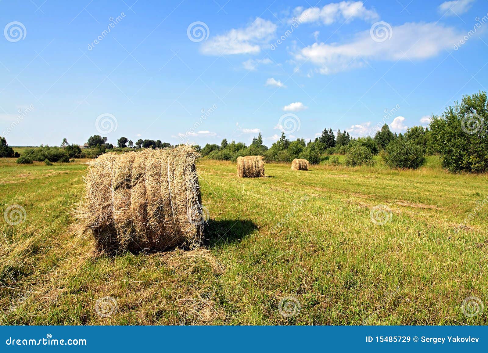 Hay in stack stock image. Image of circle, ripe, country - 15485729