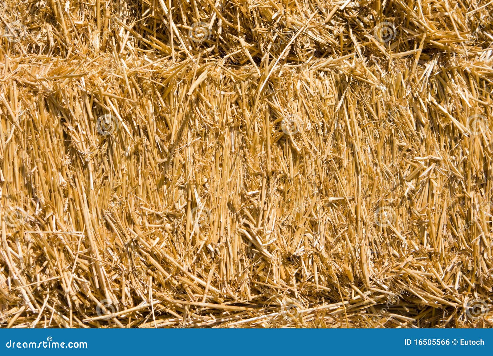 Hay Stack stock photo. Image of market, straw, feed, fall - 16505566