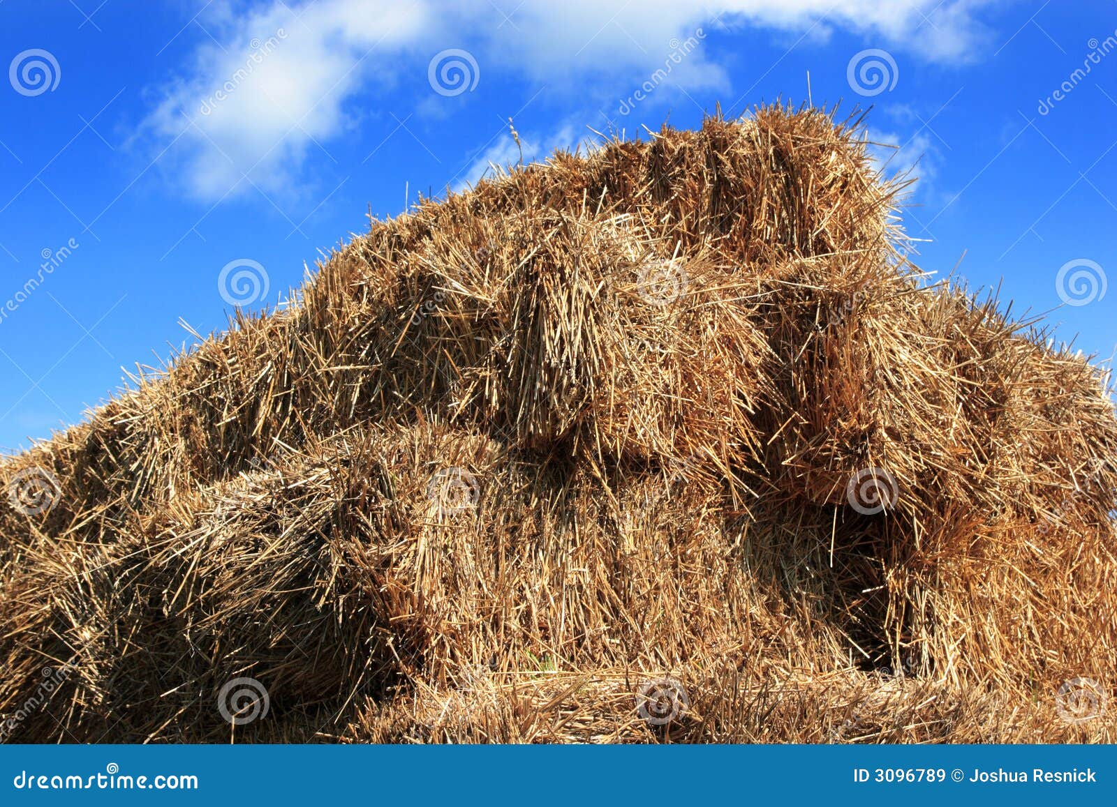 Hay Stack stock image. Image of country, cloud, animals - 3096789