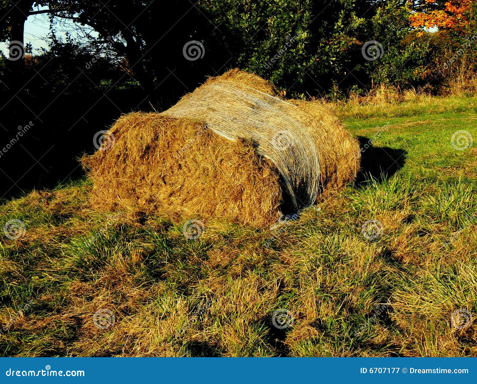 Hay stack stock image. Image of park, work, grass, autumn - 6707177