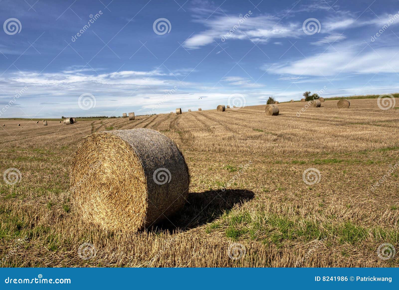 Hay stack stock photo. Image of round, yellow, travel - 8241986