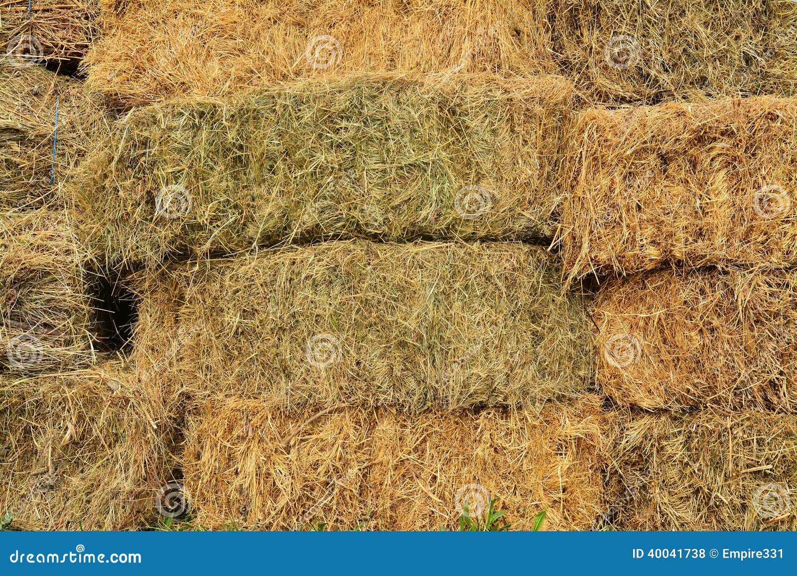 Hay stock photo. Image of autumn, pattern, field, yellow - 40041738