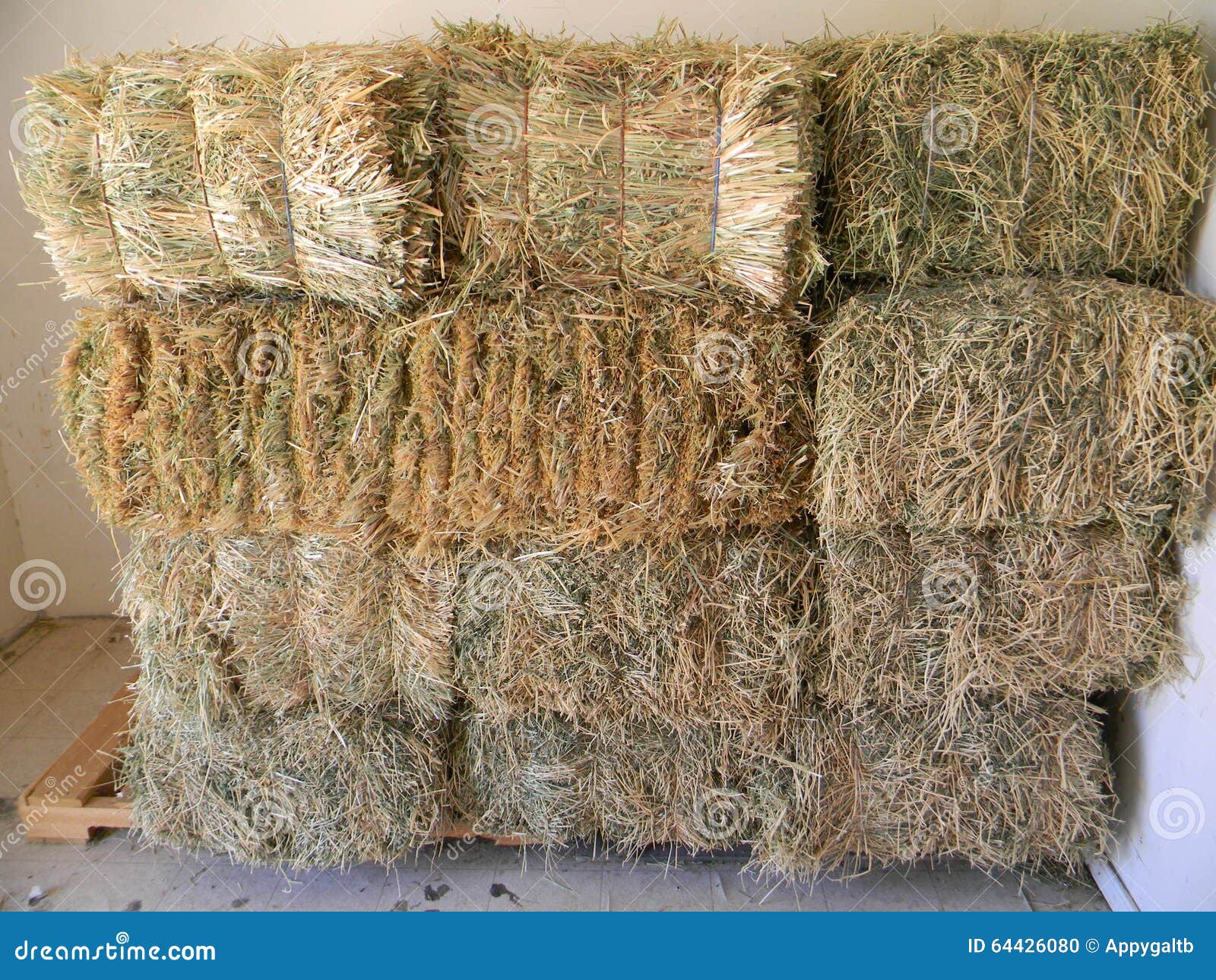 Hay stack stock photo. Image of bales, feed, stack, ranch - 64426080