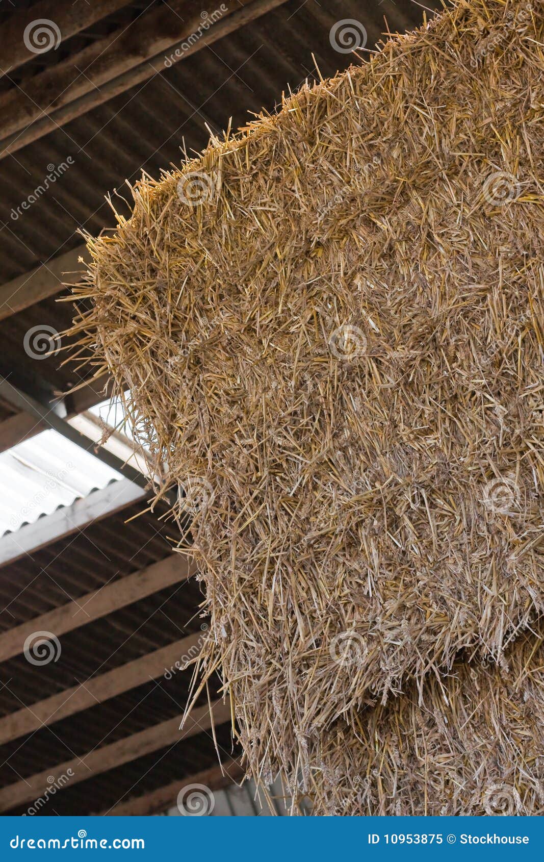 Hay stack in barn stock image. Image of solving, agriculture - 10953875