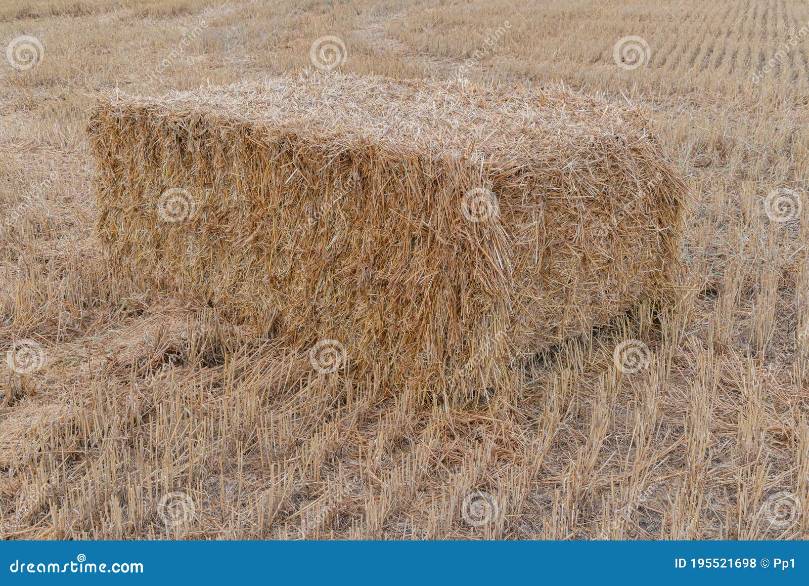 Hay Stack Cube Sqaure Package Harvest Crop Dry Grain Stock Photo ...