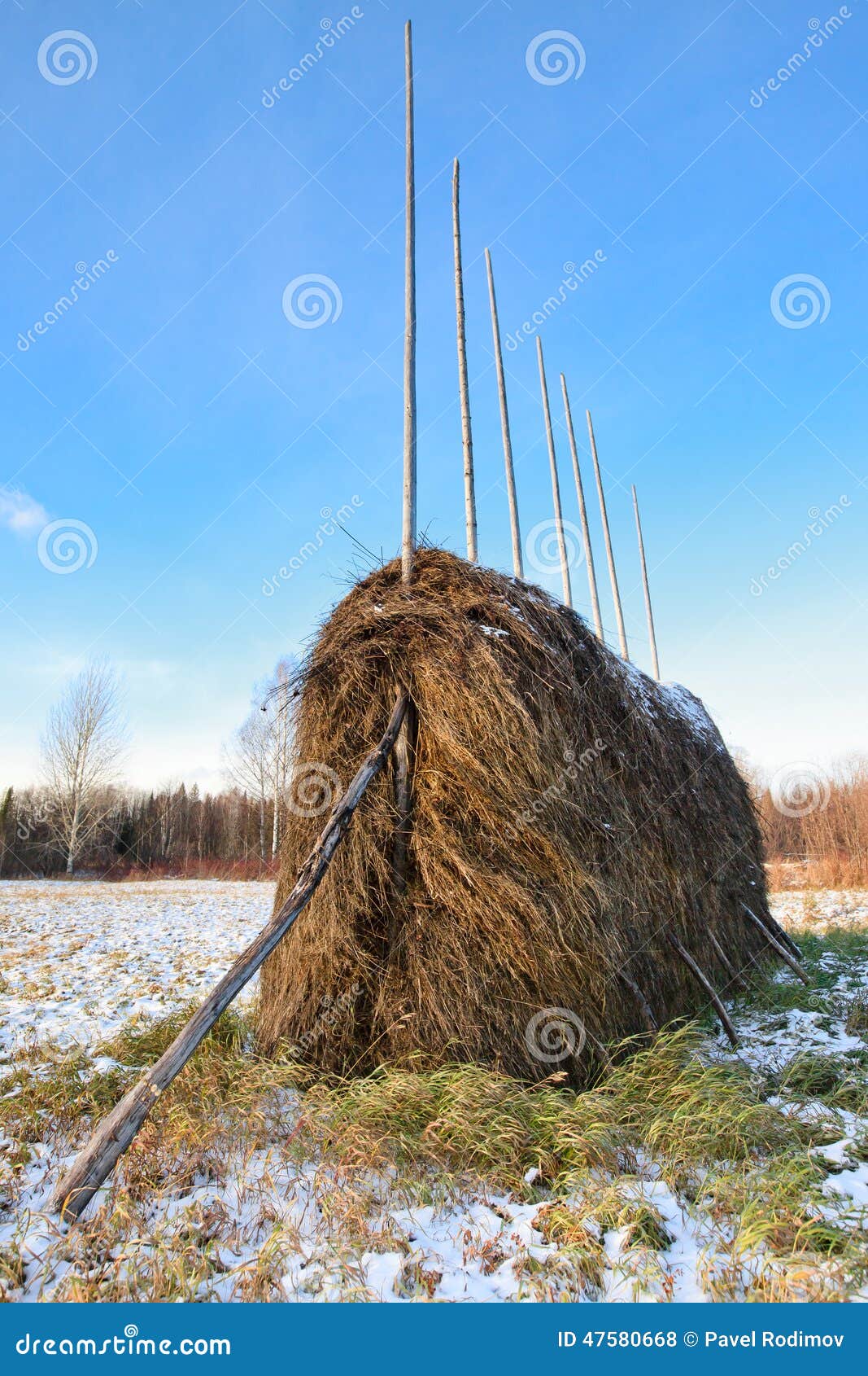 Hay in stack stock photo. Image of outdoors, agricultural - 47580668