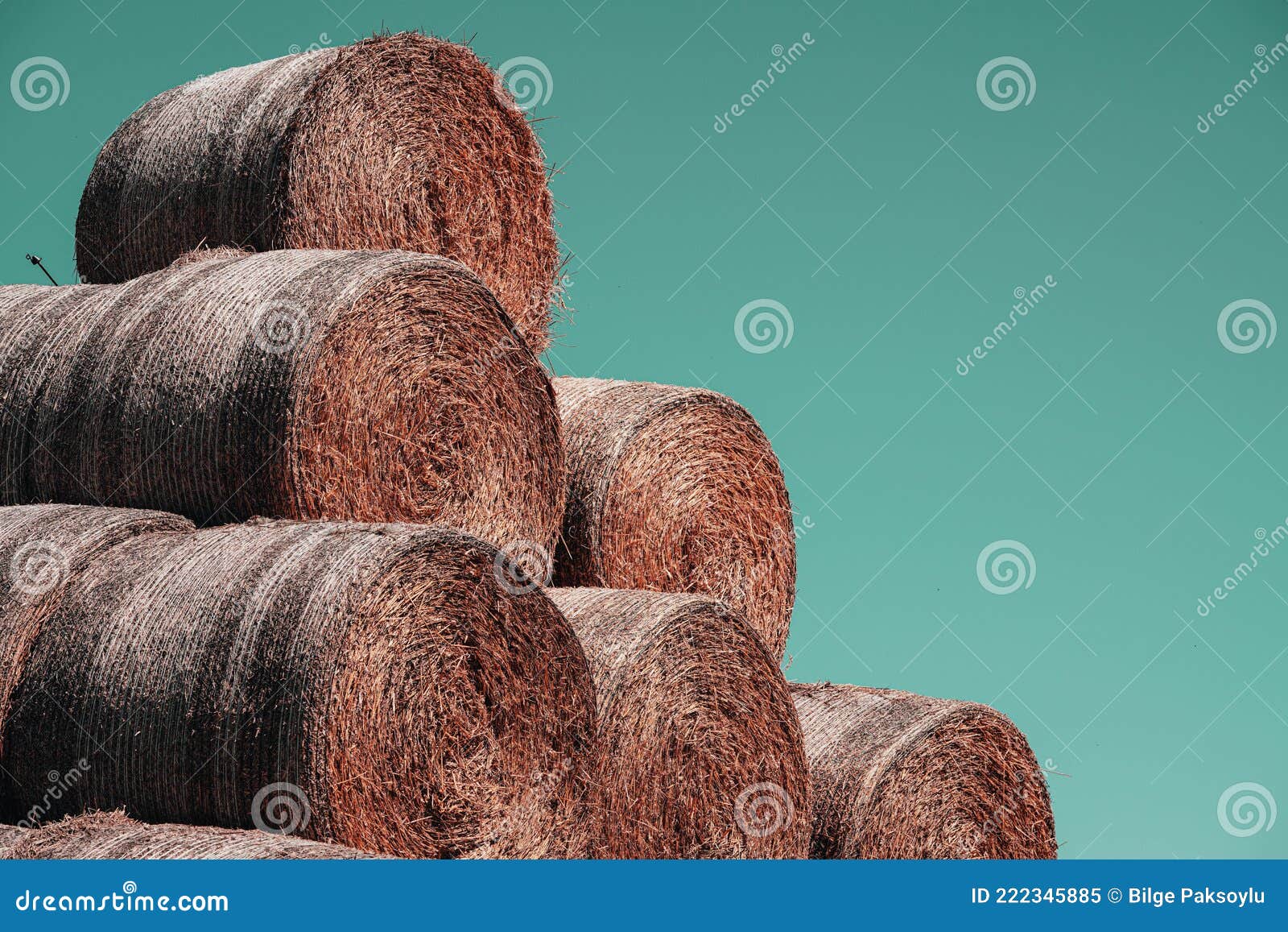 Stack And Piles Of Coins Stock Photo | CartoonDealer.com #136793346