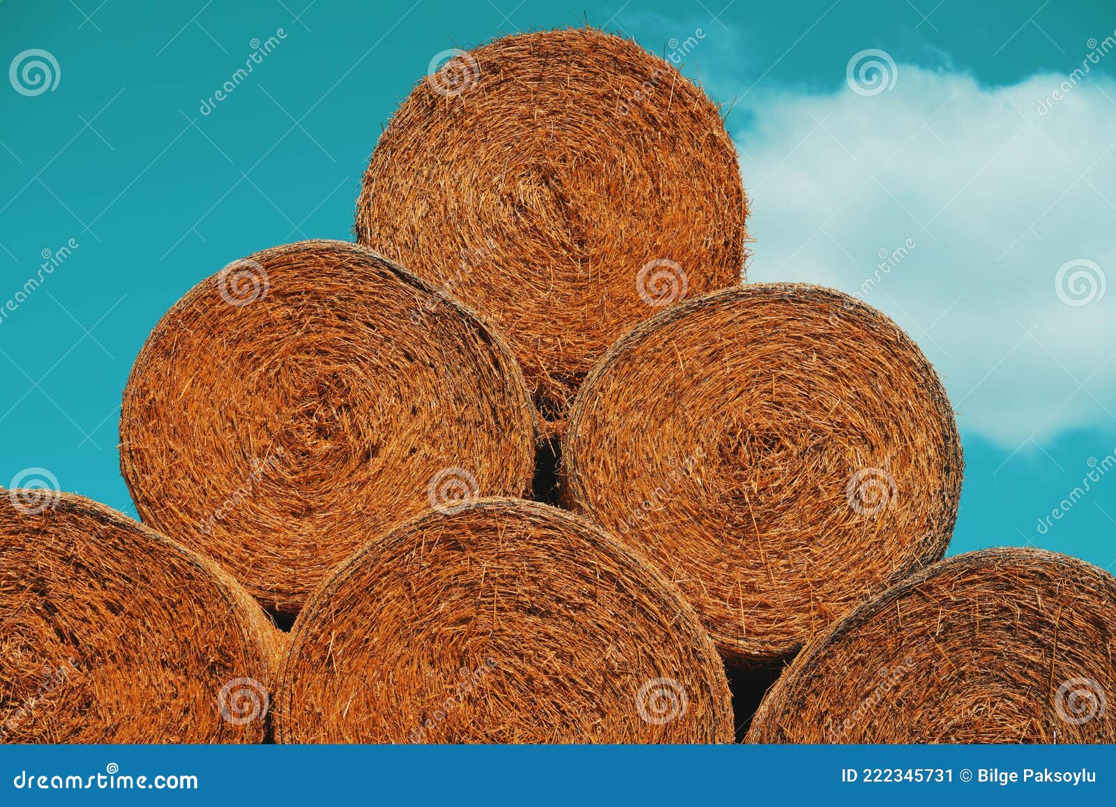 Hay Stack Piles in Nature stock image. Image of poster - 222345731